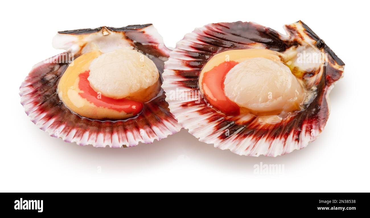 How two live Cut Out Stock Images & Pictures - Alamy