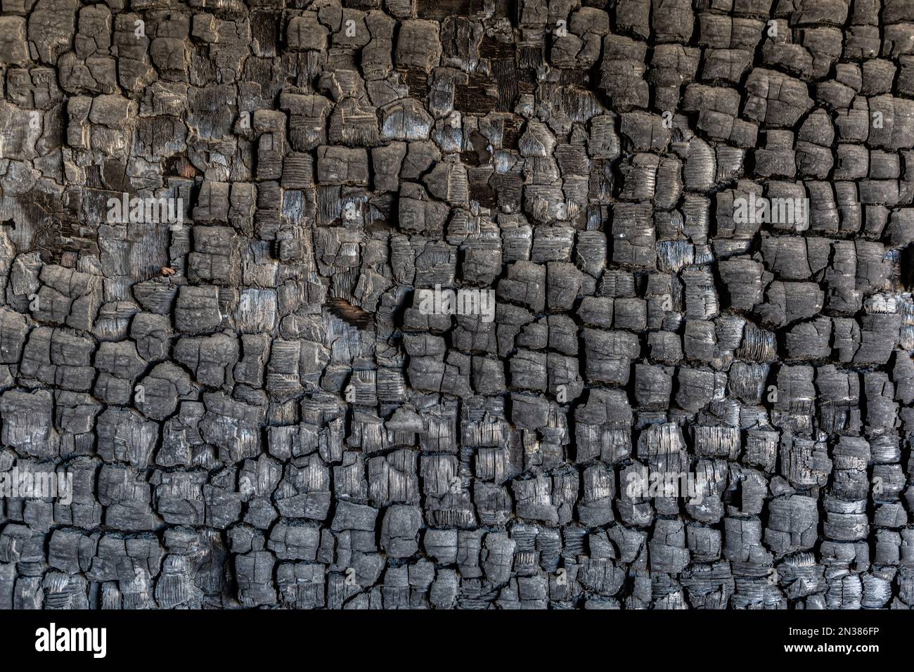 Burnt wood texture. Burned scratched hardwood Stock Photo - Alamy