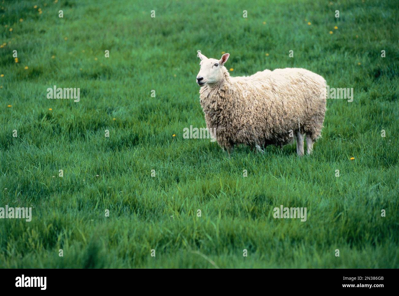 Individual stand hi-res stock photography and images - Alamy
