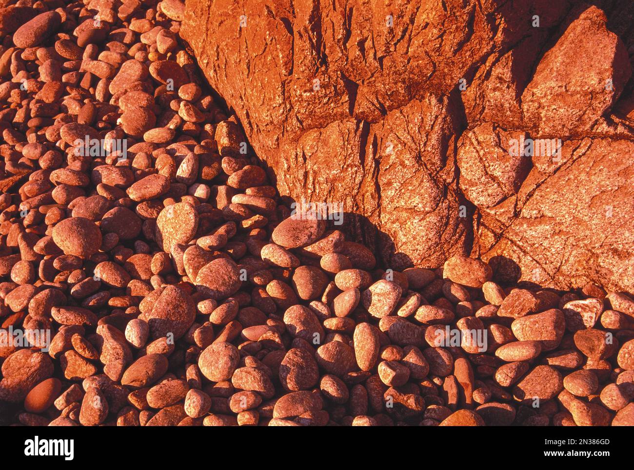 Black newfoundland beach hi-res stock photography and images - Alamy