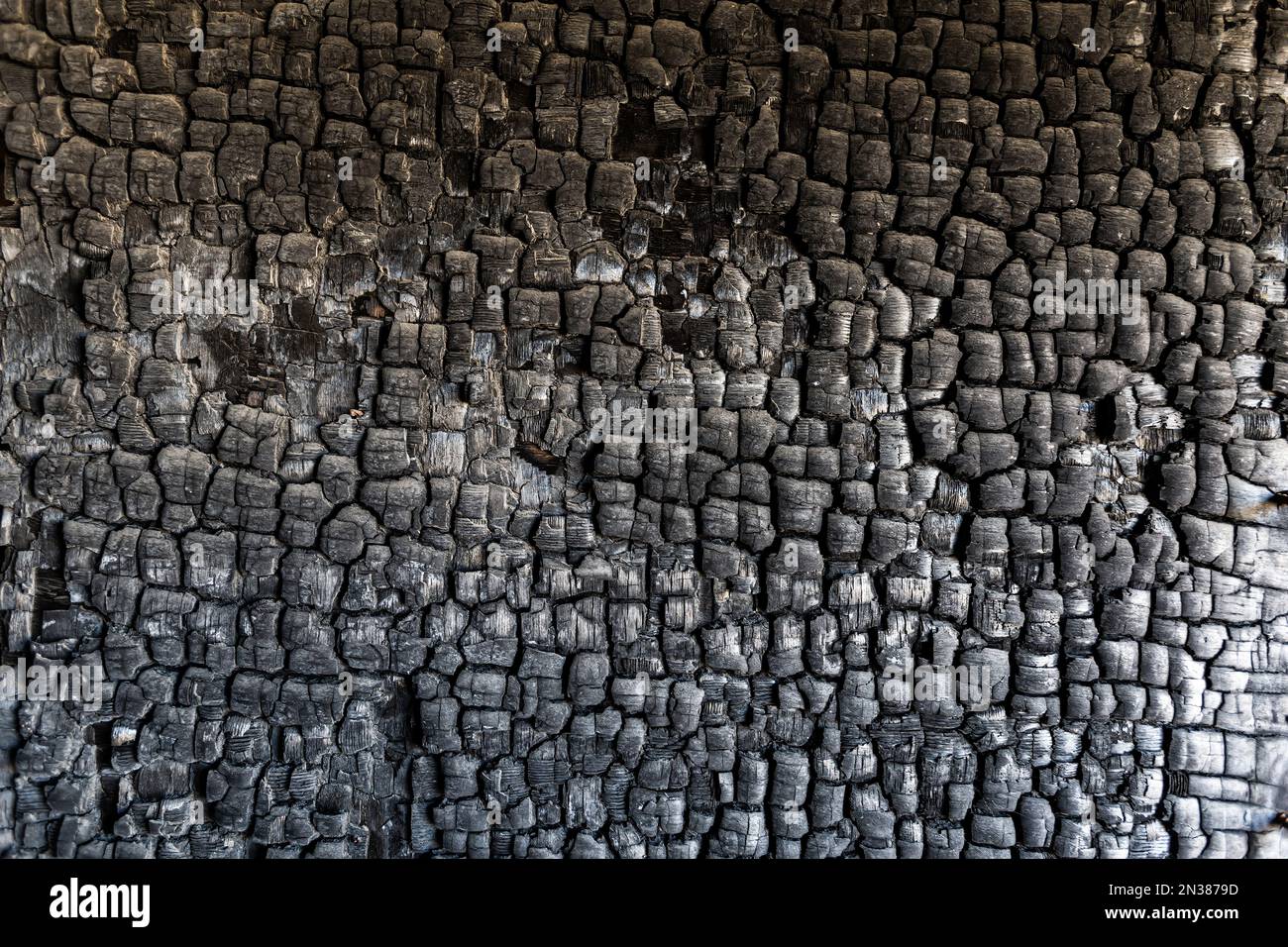 Burnt wood texture. Burned scratched hardwood Stock Photo - Alamy