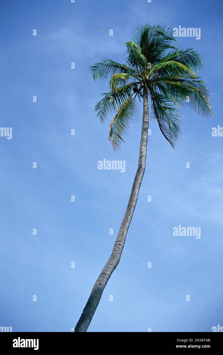 Skinny objects hi-res stock photography and images - Alamy