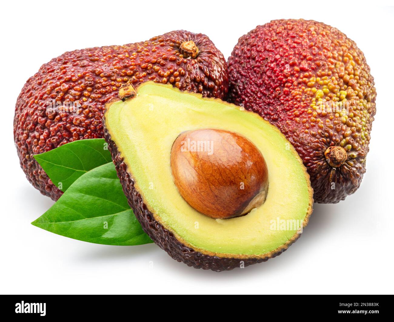 Hass avocado fruits with leaves isolated on white background Stock ...