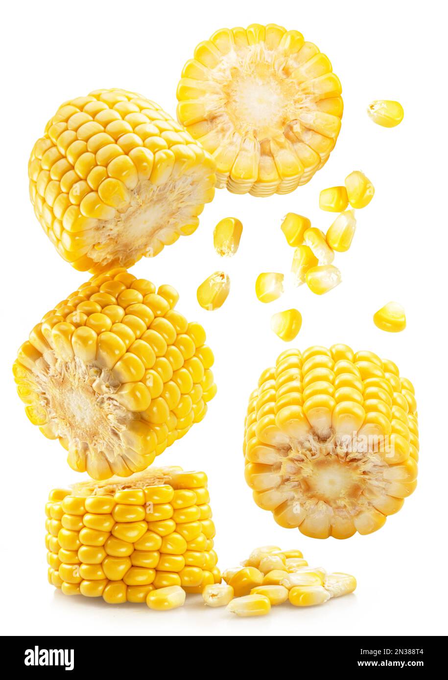 Piece of maize cob or corn cob and corn seeds flying in air isolated on ...
