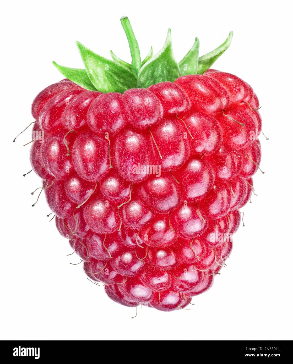 One raspberry fruit isolated on white background. Clipping path Stock ...