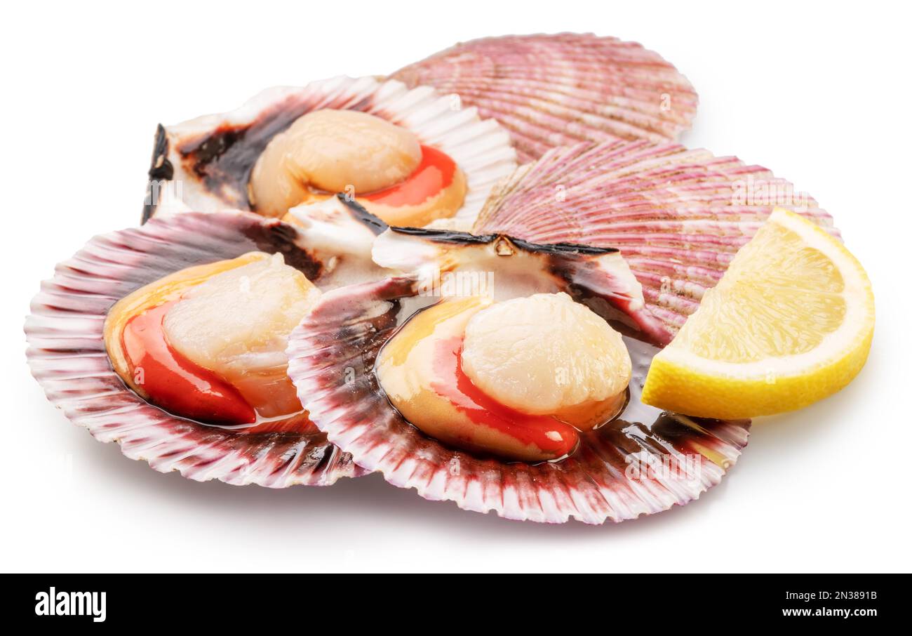 Group of fresh opened scallop with lemon slice close up. Clipping path ...
