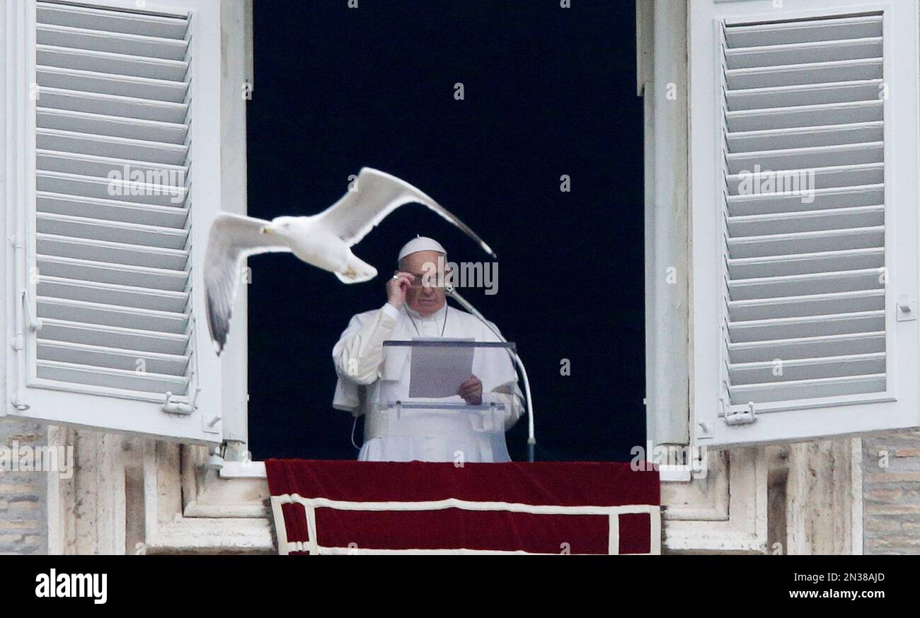 A seagull flies as Pope Francis delivers his message during the Angelus ...