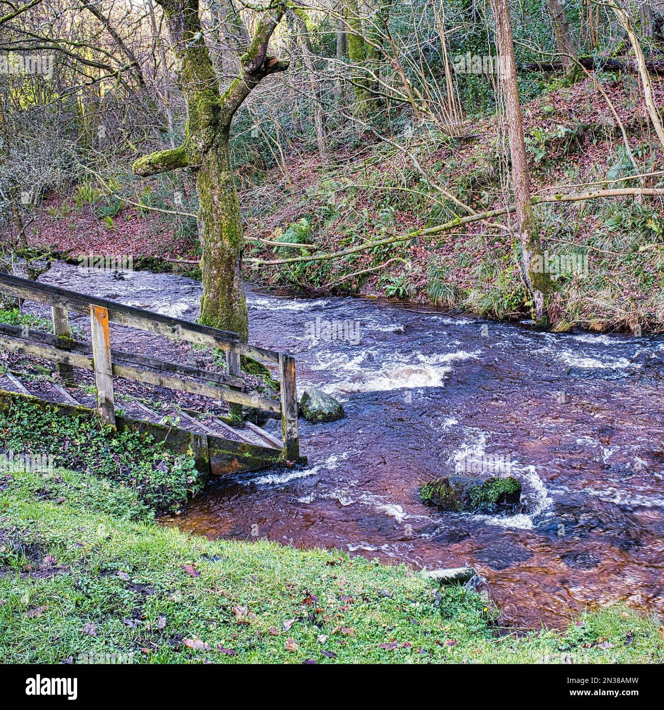 Embankment steps hi-res stock photography and images - Alamy
