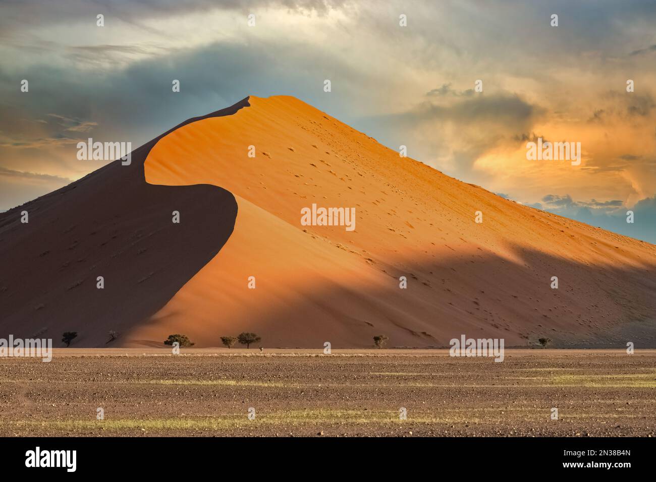 Namibia, the Namib desert, graphic landscape of red dunes Stock Photo ...