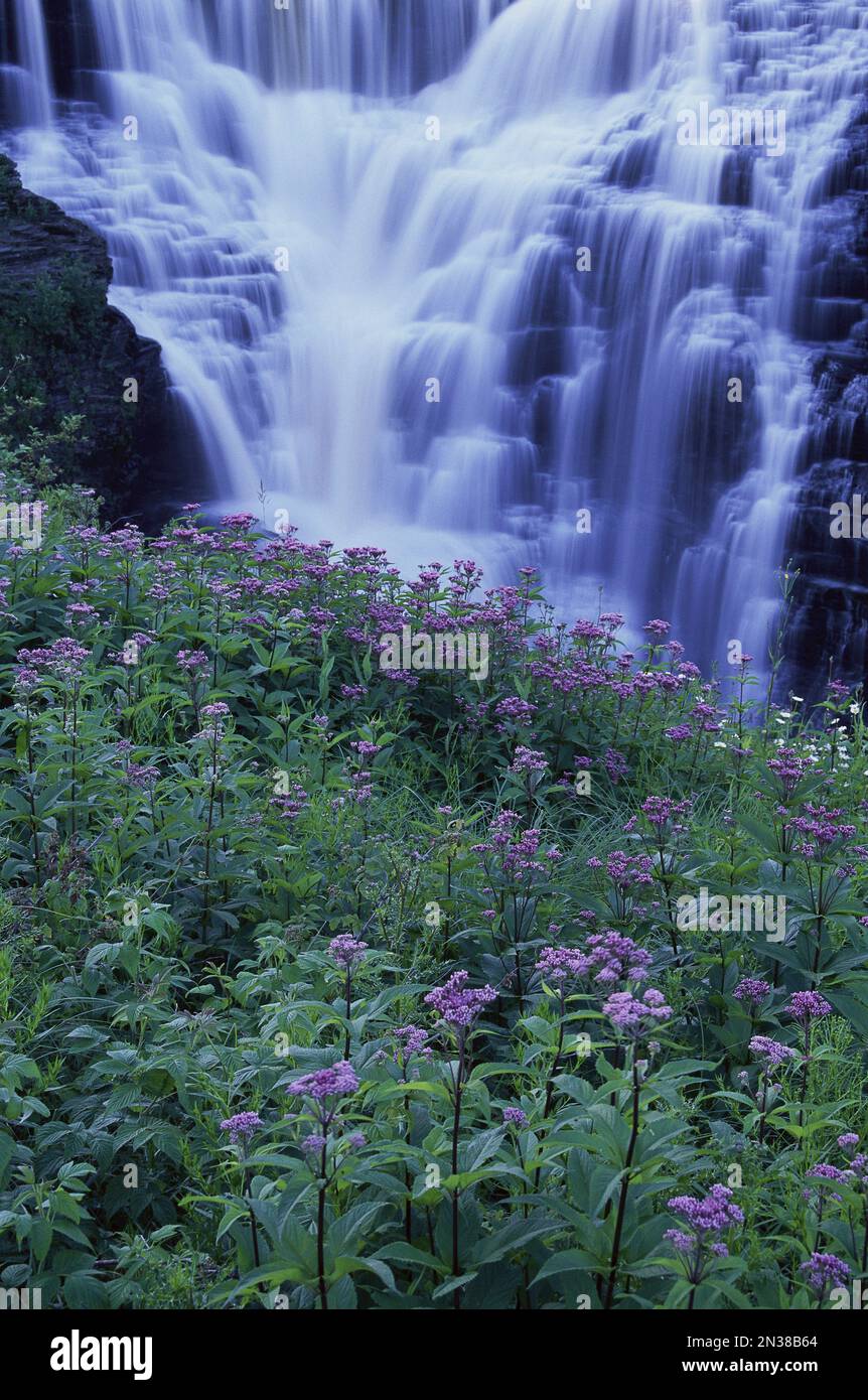 Kakabeka provincial park hi-res stock photography and images - Alamy