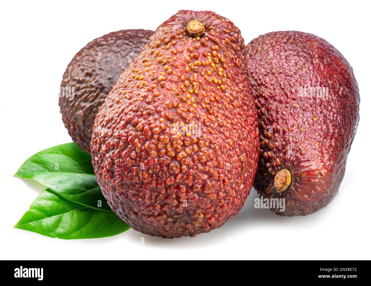 Hass avocado fruits with leaves isolated on white background Stock ...