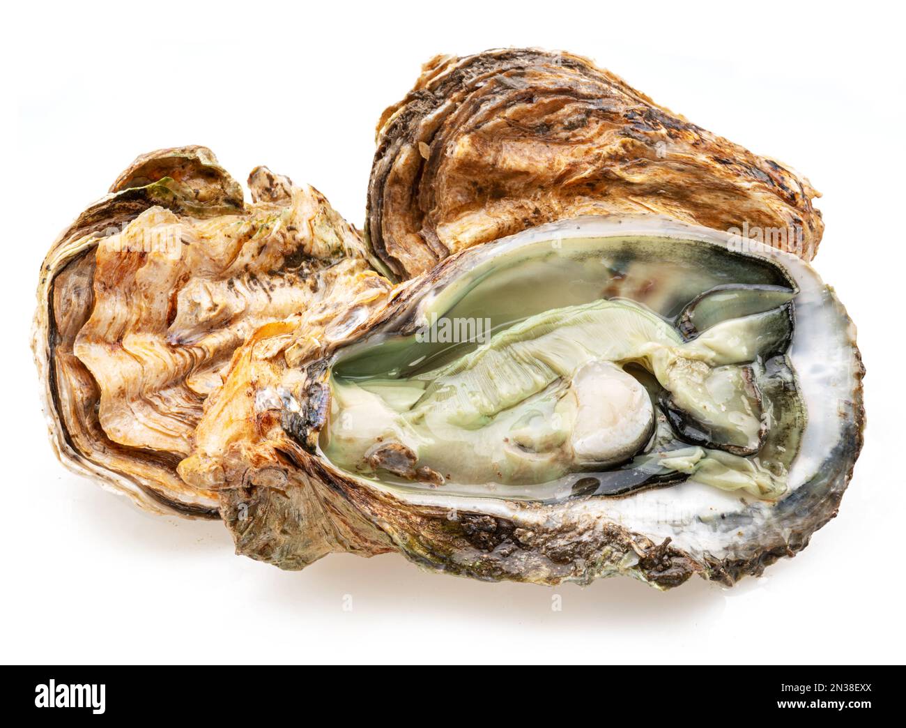 Opened and closed raw oysters isolated on white background. Delicacy ...