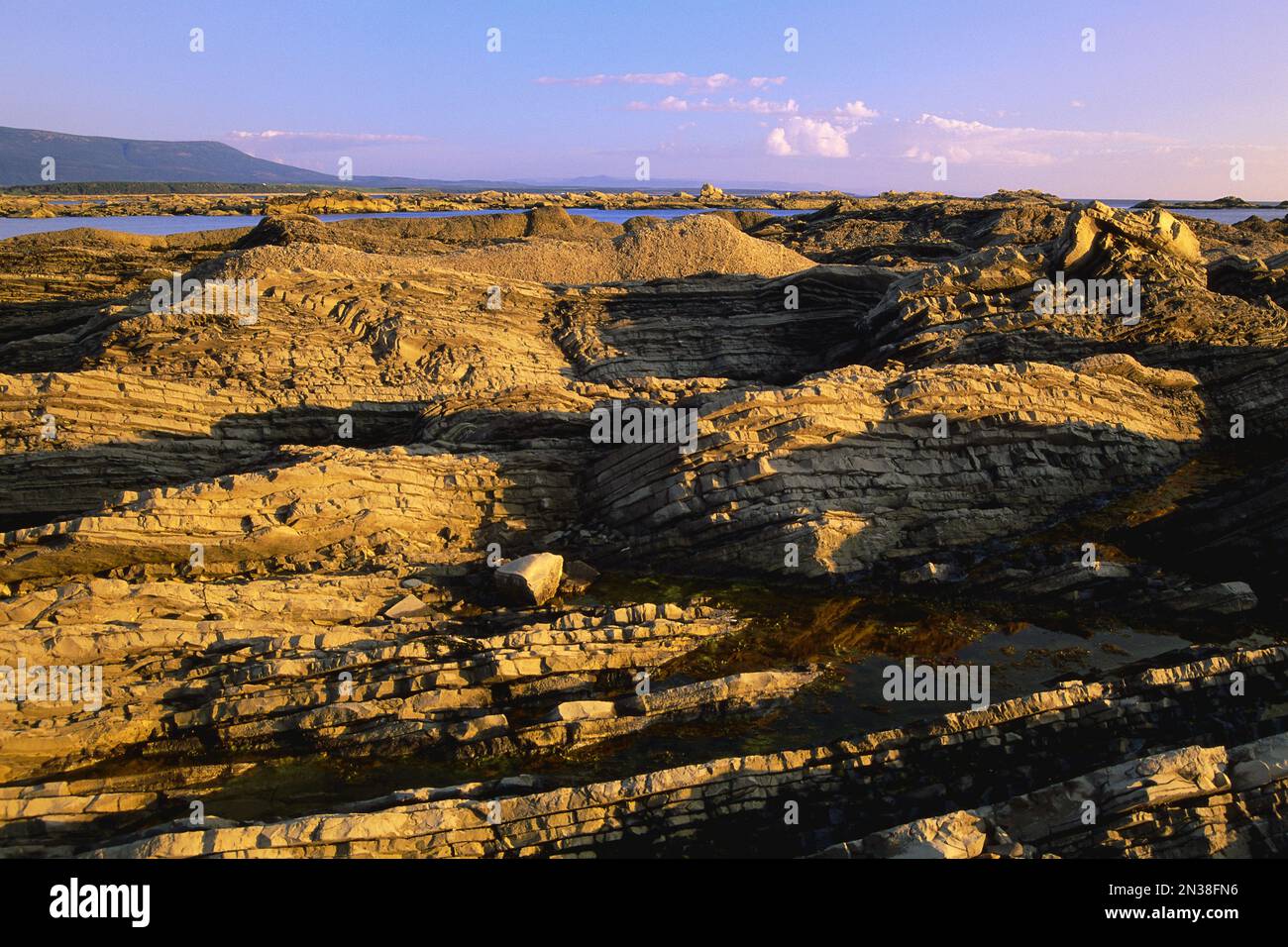 Broom point gros morne hi-res stock photography and images - Alamy