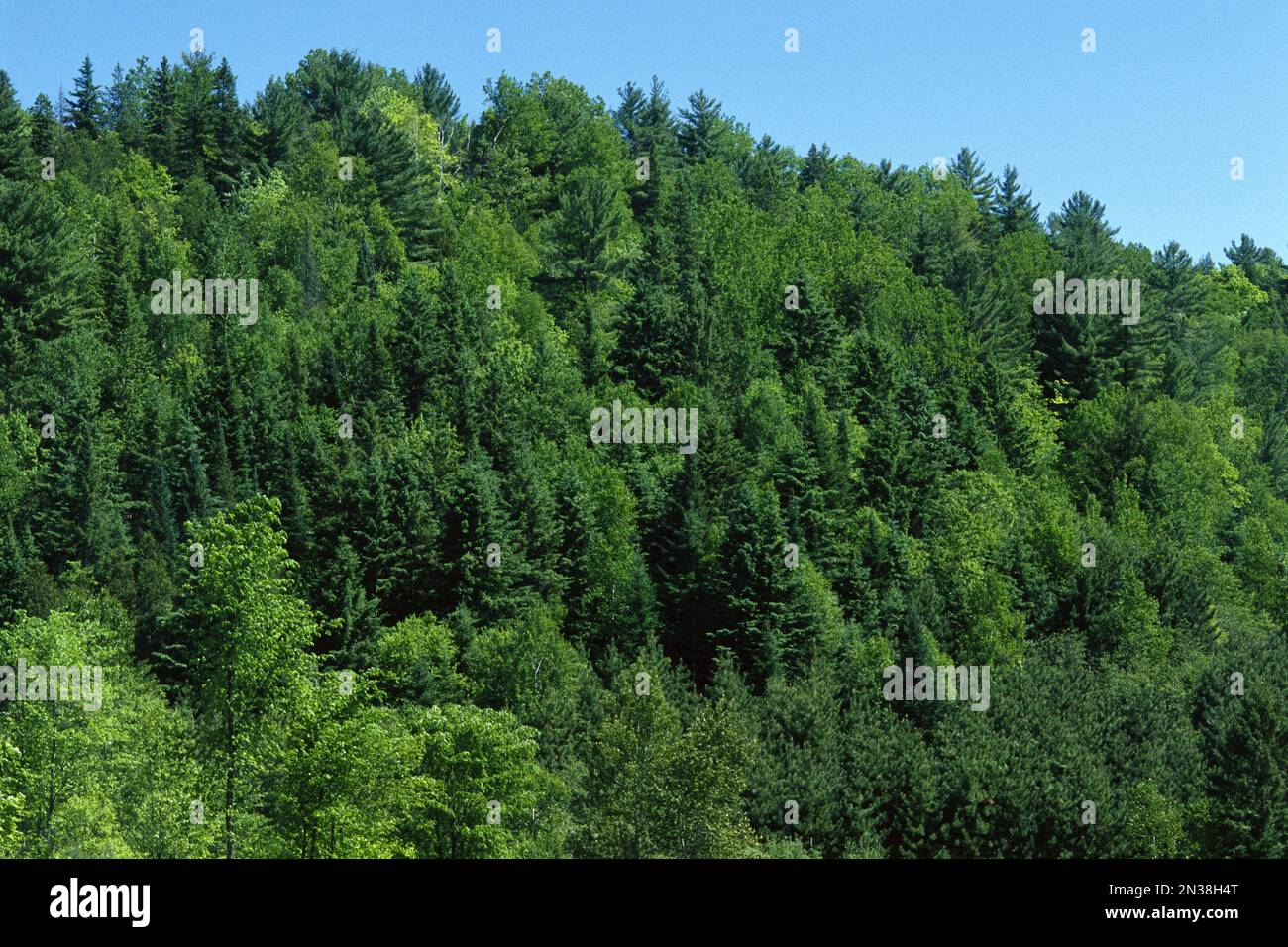 Rfold0422 hi-res stock photography and images - Alamy