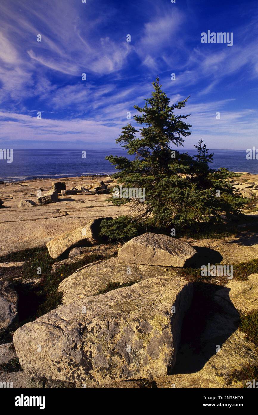 Schoodic Point, Acadia National Park, Maine, USA Stock Photo - Alamy