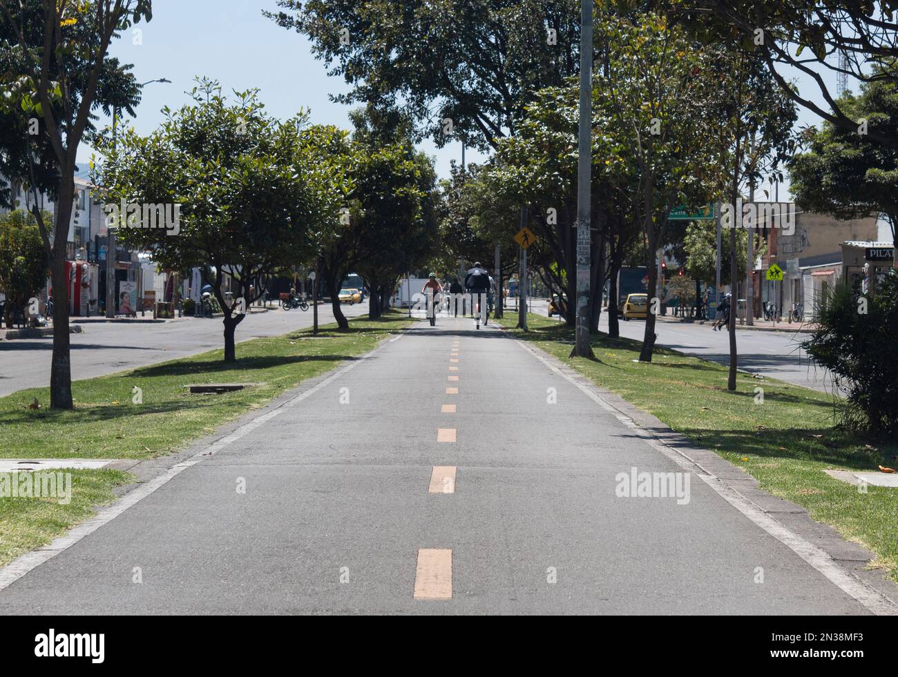 BOGOTA, COLOMBIA - an empty bike path in middle of big trees on sunny ...