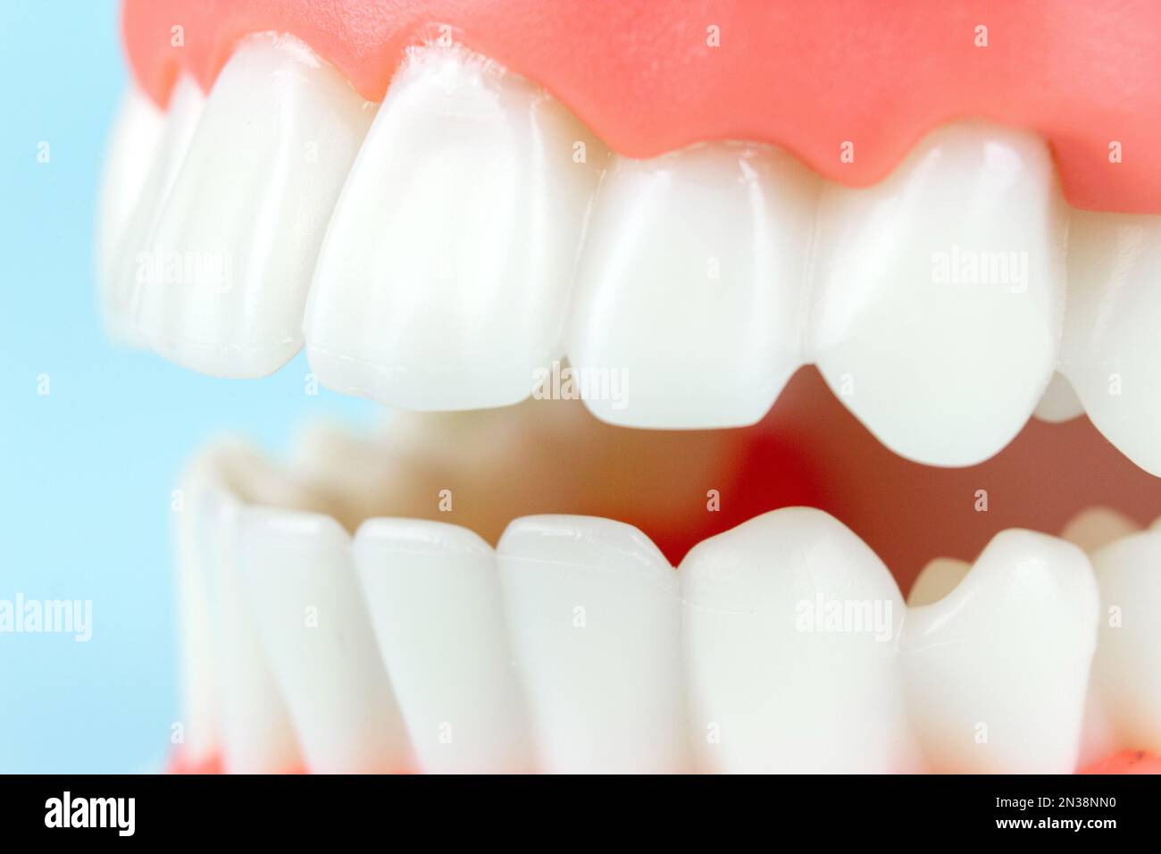 Dentoform hi-res stock photography and images - Alamy