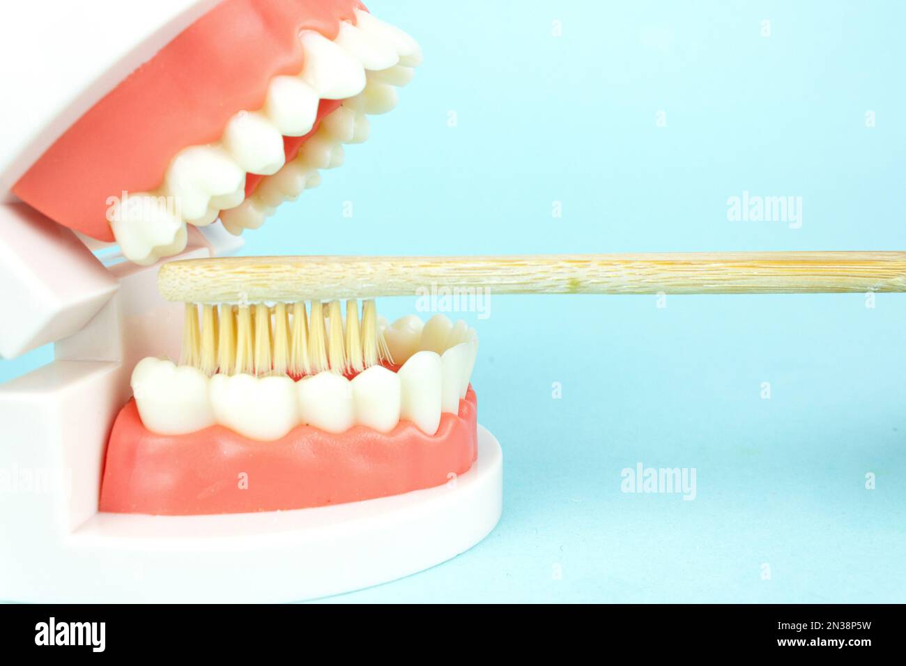 Dentistry conceptual photo. Prosthetic dentistry and wooden toothbrush ...