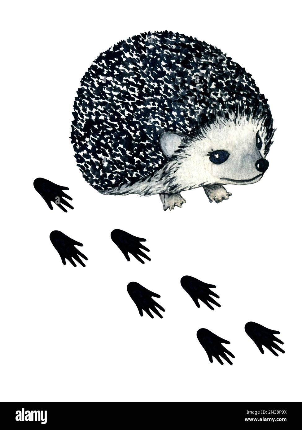 Watercolor wild forest animal footprints. Hedgehog. Woodland nature ...