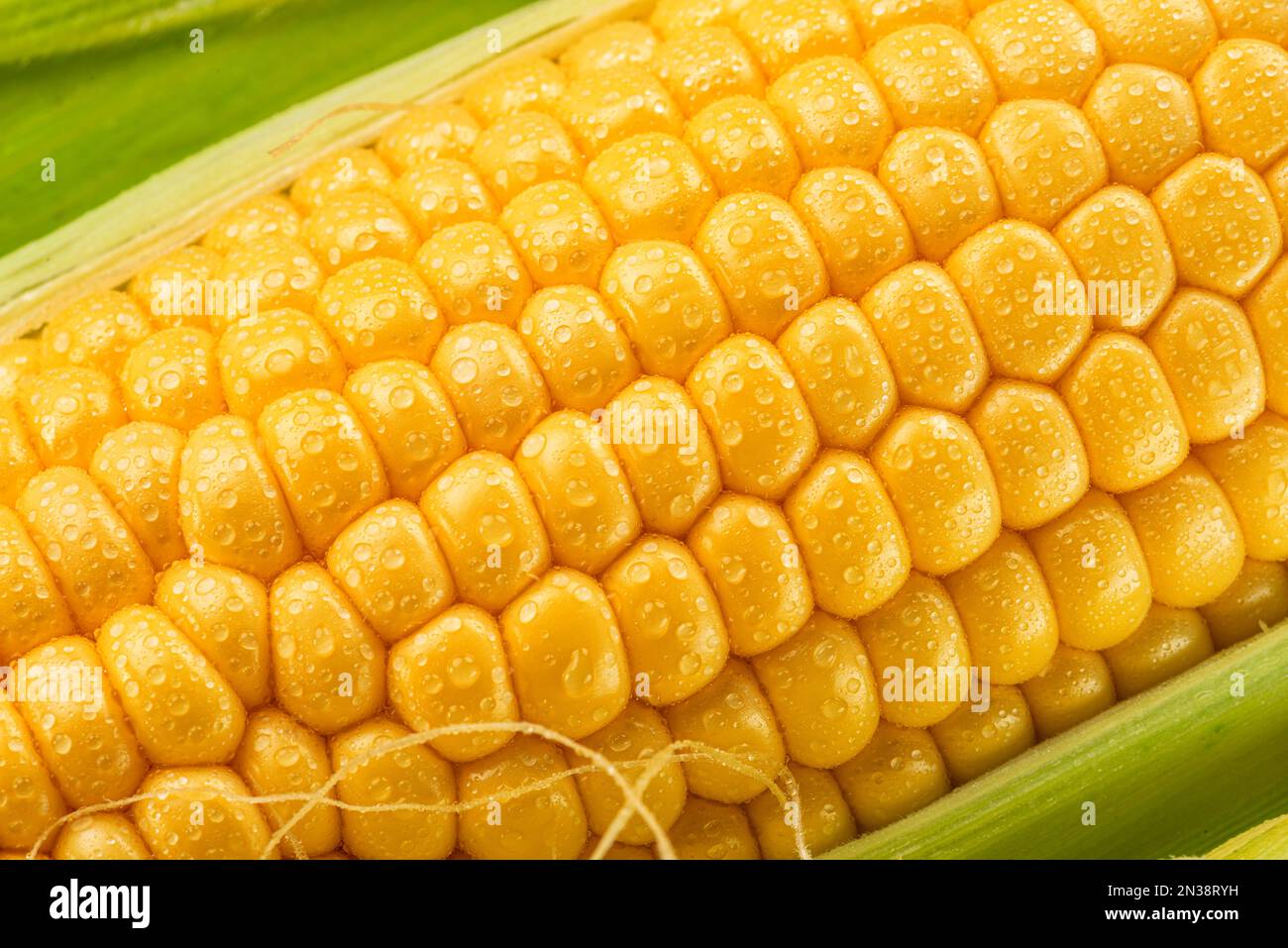 Cob of maize hi-res stock photography and images - Alamy