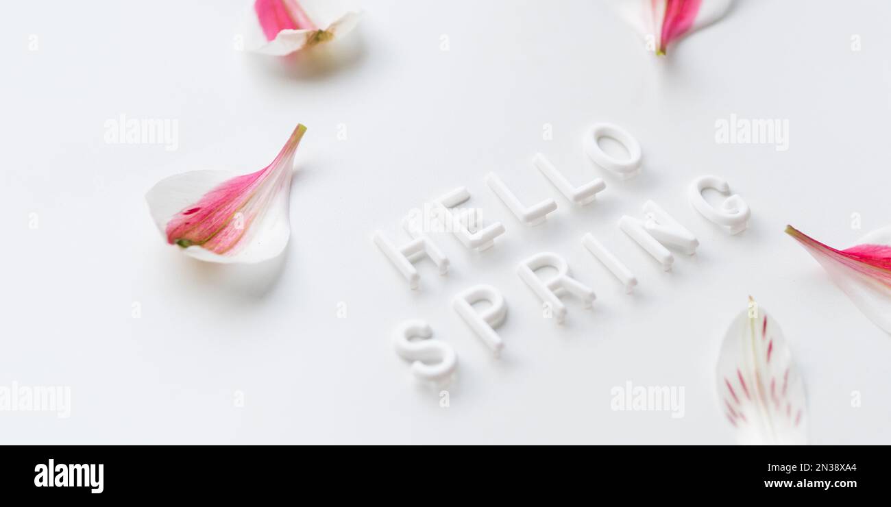 Words HELLO SPRING with pink flower petals on white background. Season ...