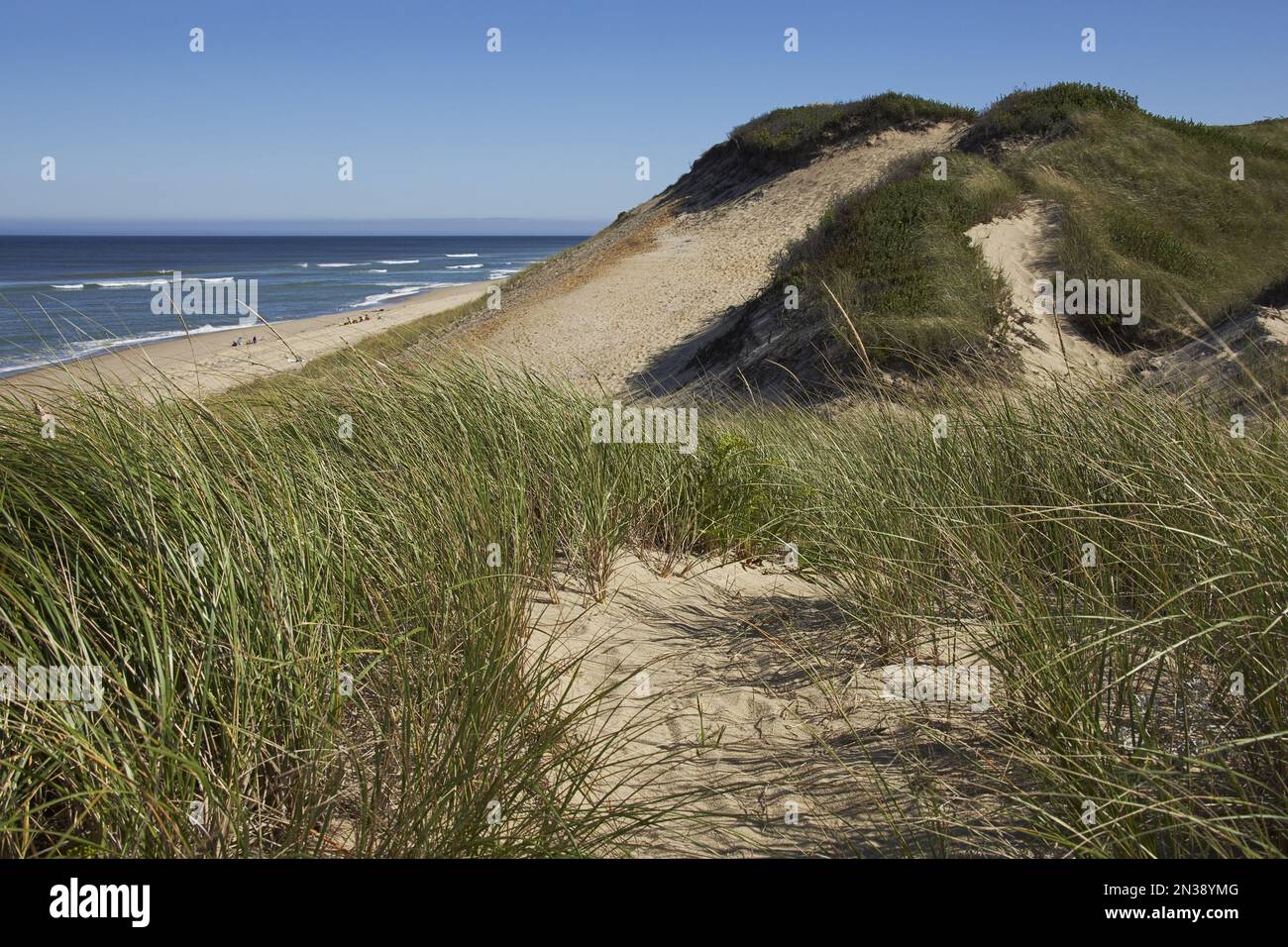 Sand Dunes, Marconi Beach, Cape Cod National Seashore, Wellfleet, Cape ...