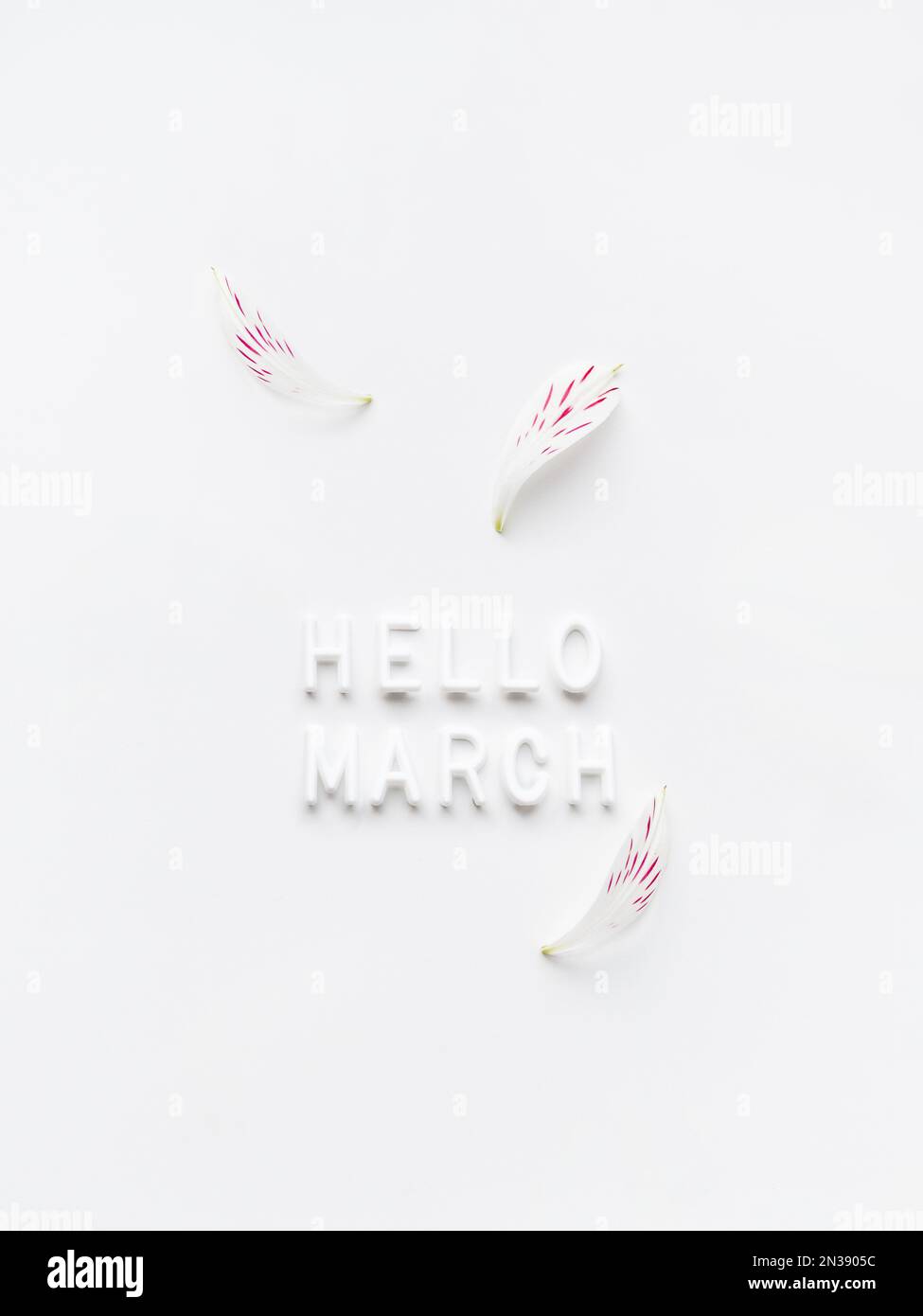 Hello March Tumblr