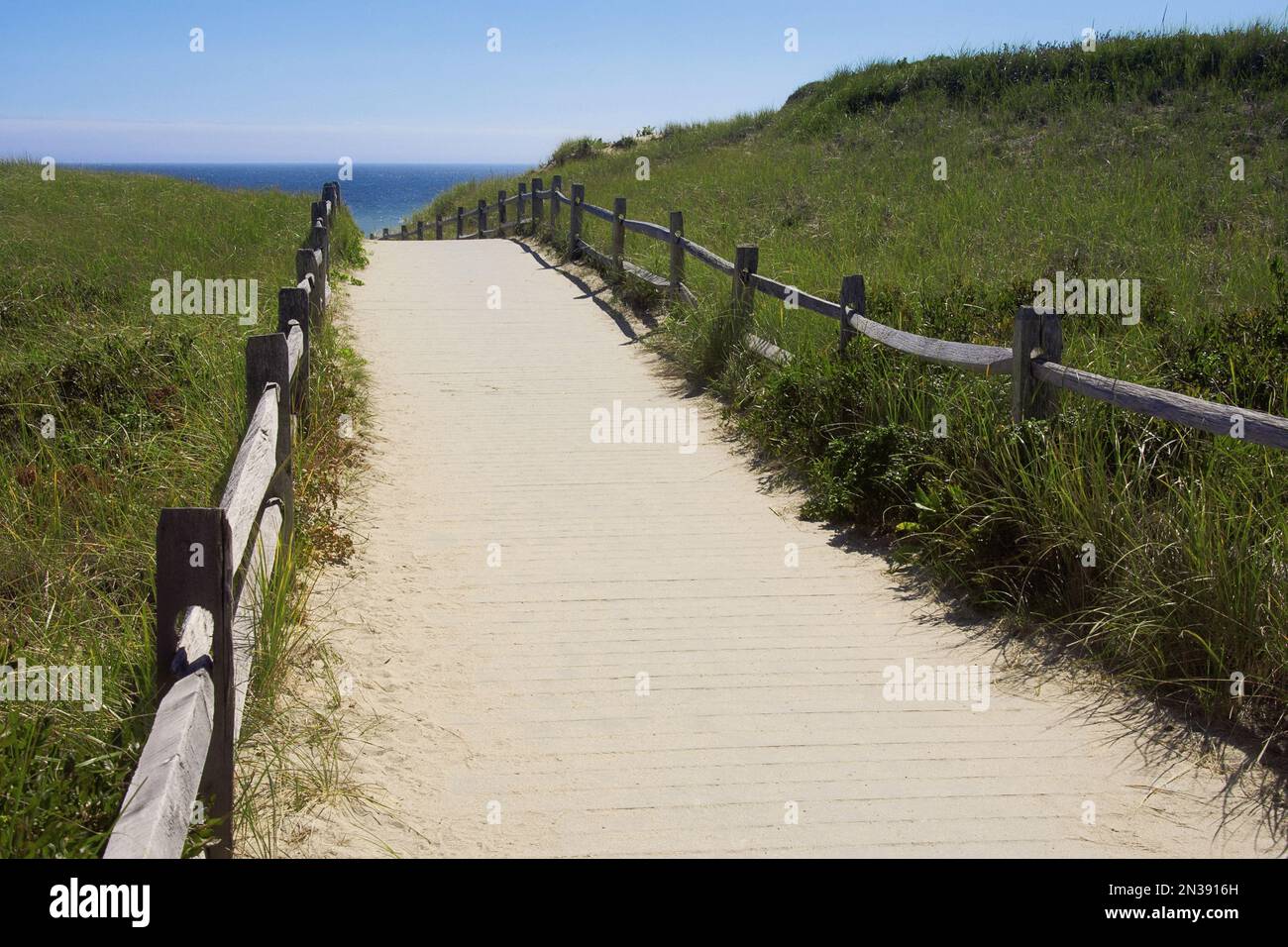 Rail trail cape cod massachusetts hi-res stock photography and images - Alamy