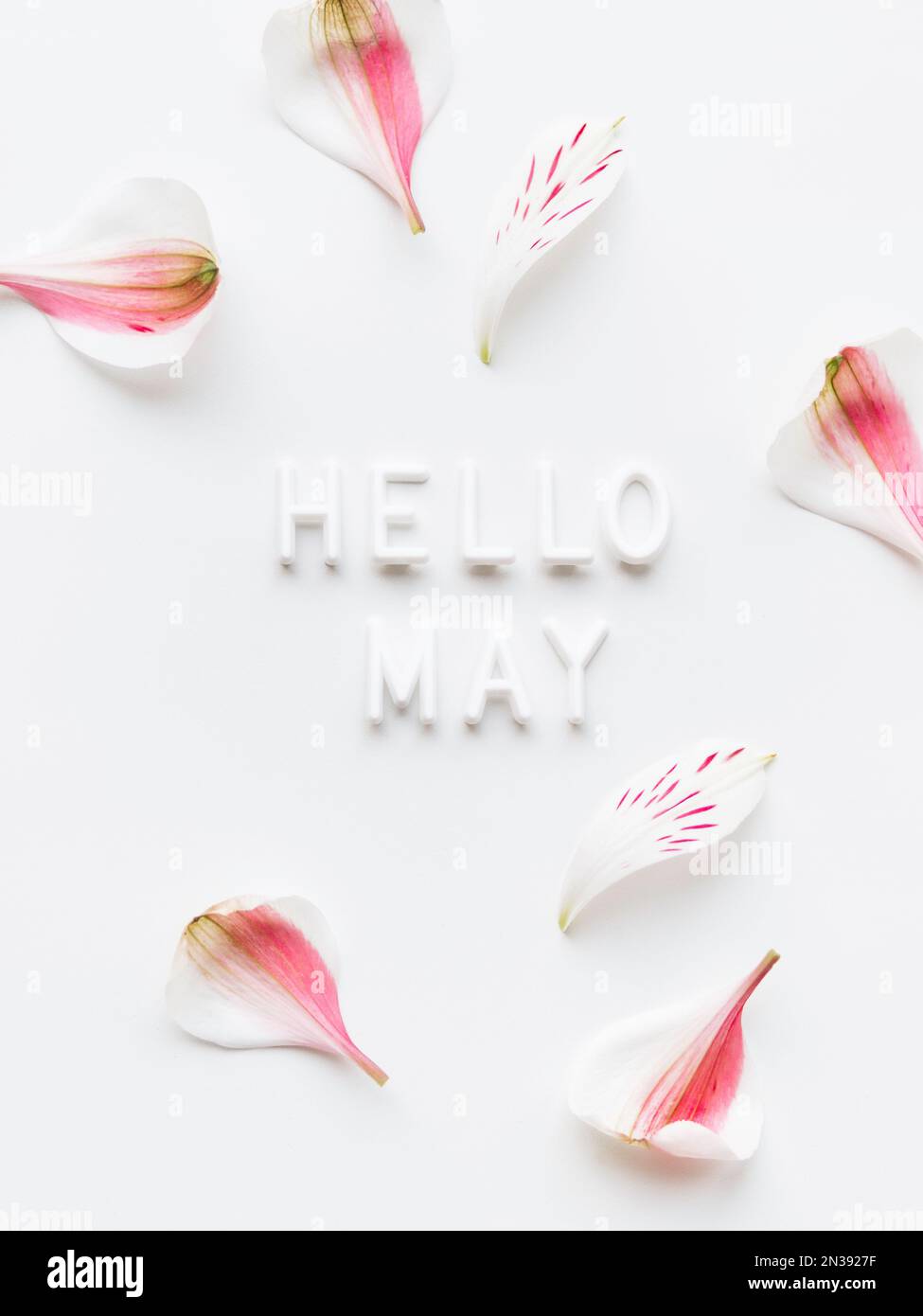 Hello May Wallpaper