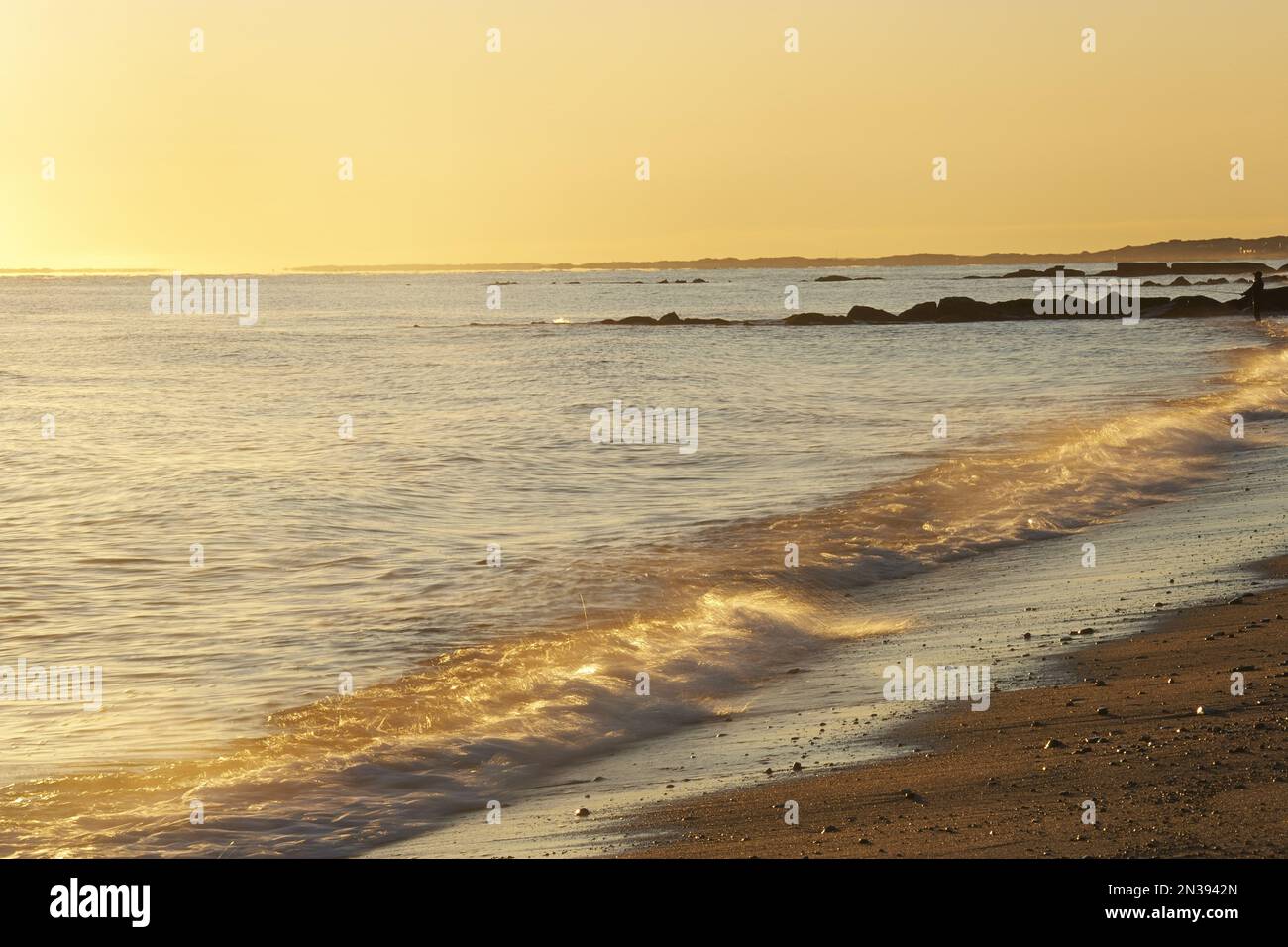 Cape cod massachusetts sandy neck beach hi-res stock photography and images - Alamy