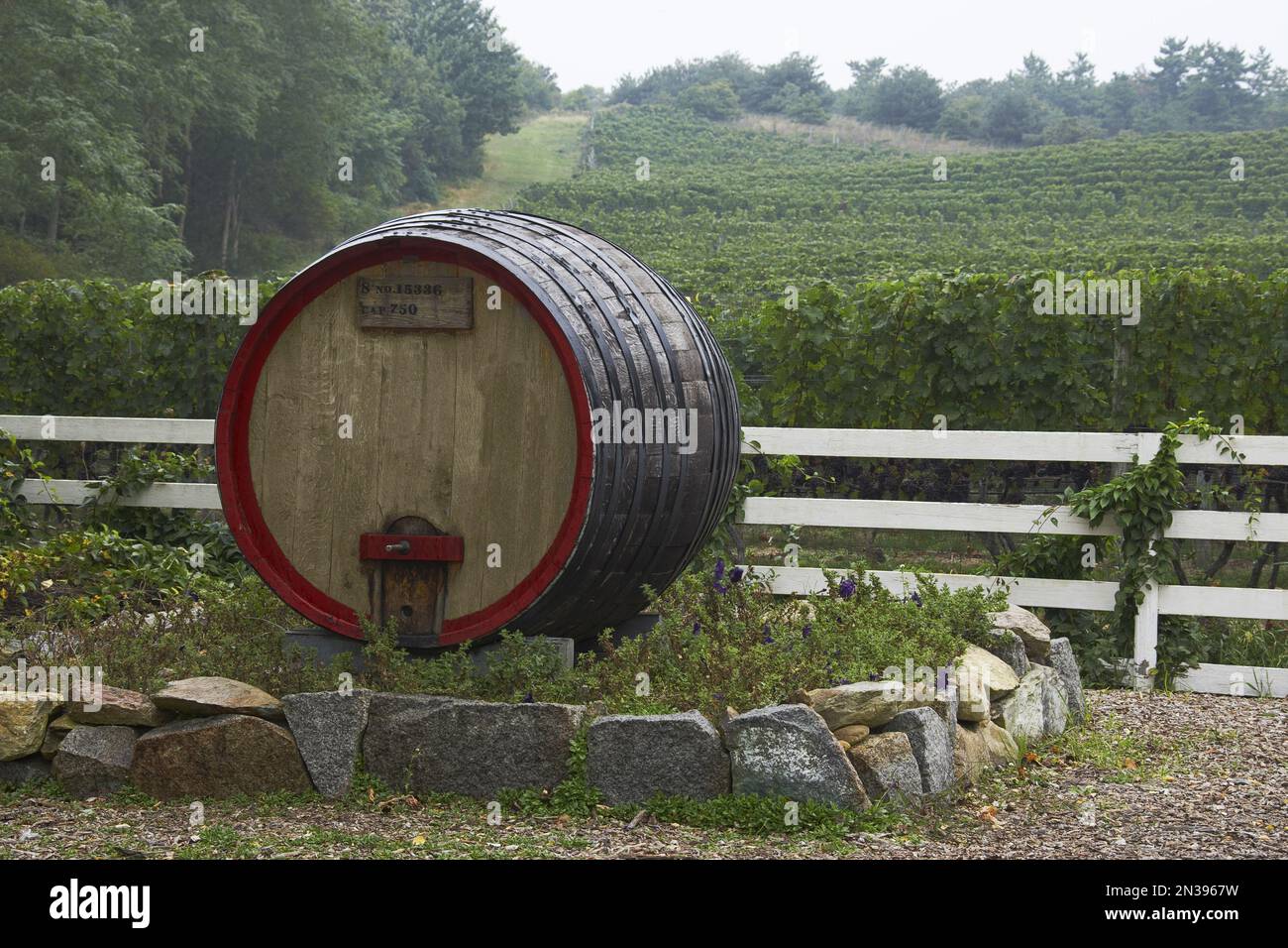 New england vineyard usa wine hi-res stock photography and images - Alamy