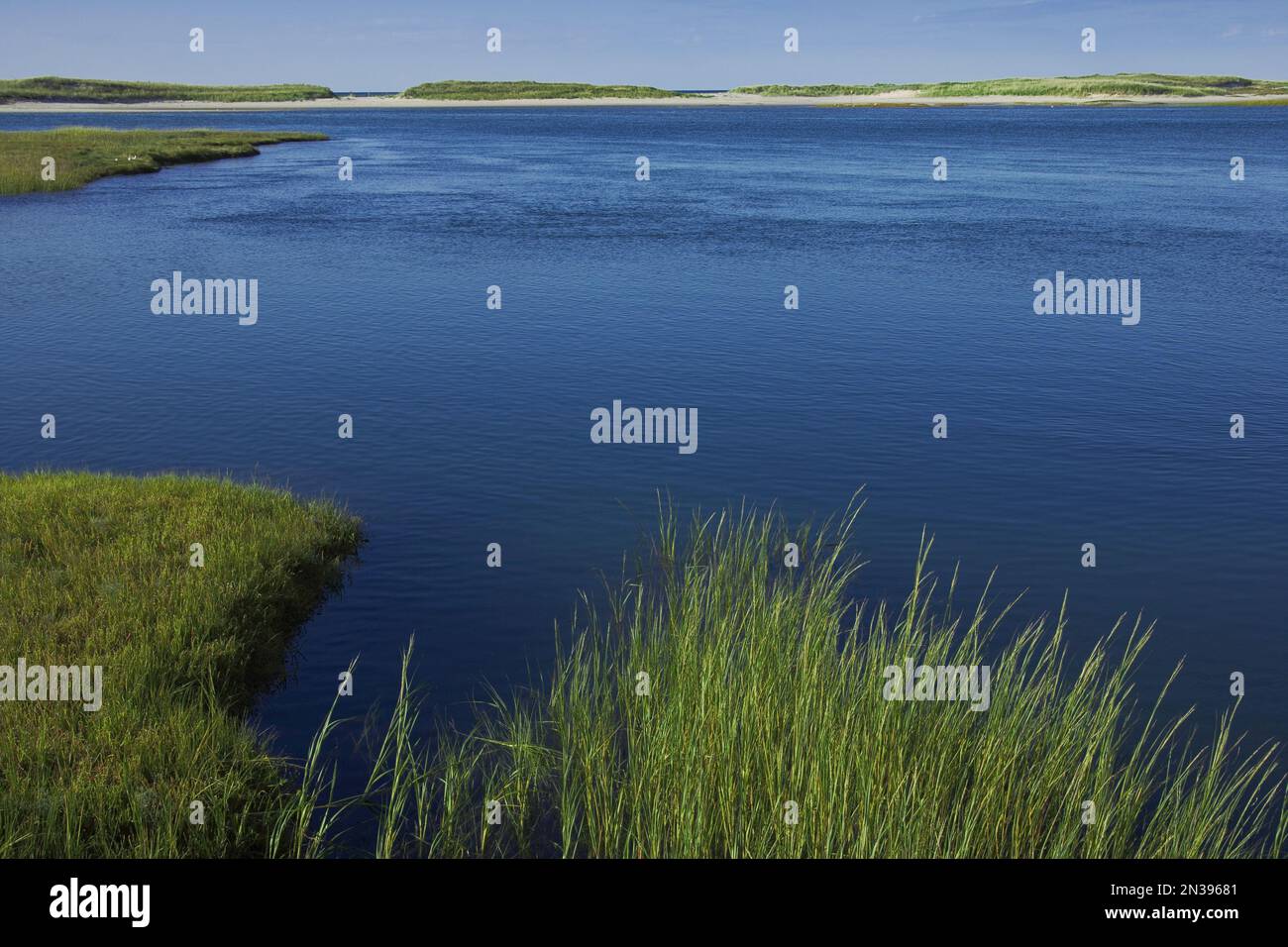 Cape cod lake beach hi-res stock photography and images - Alamy