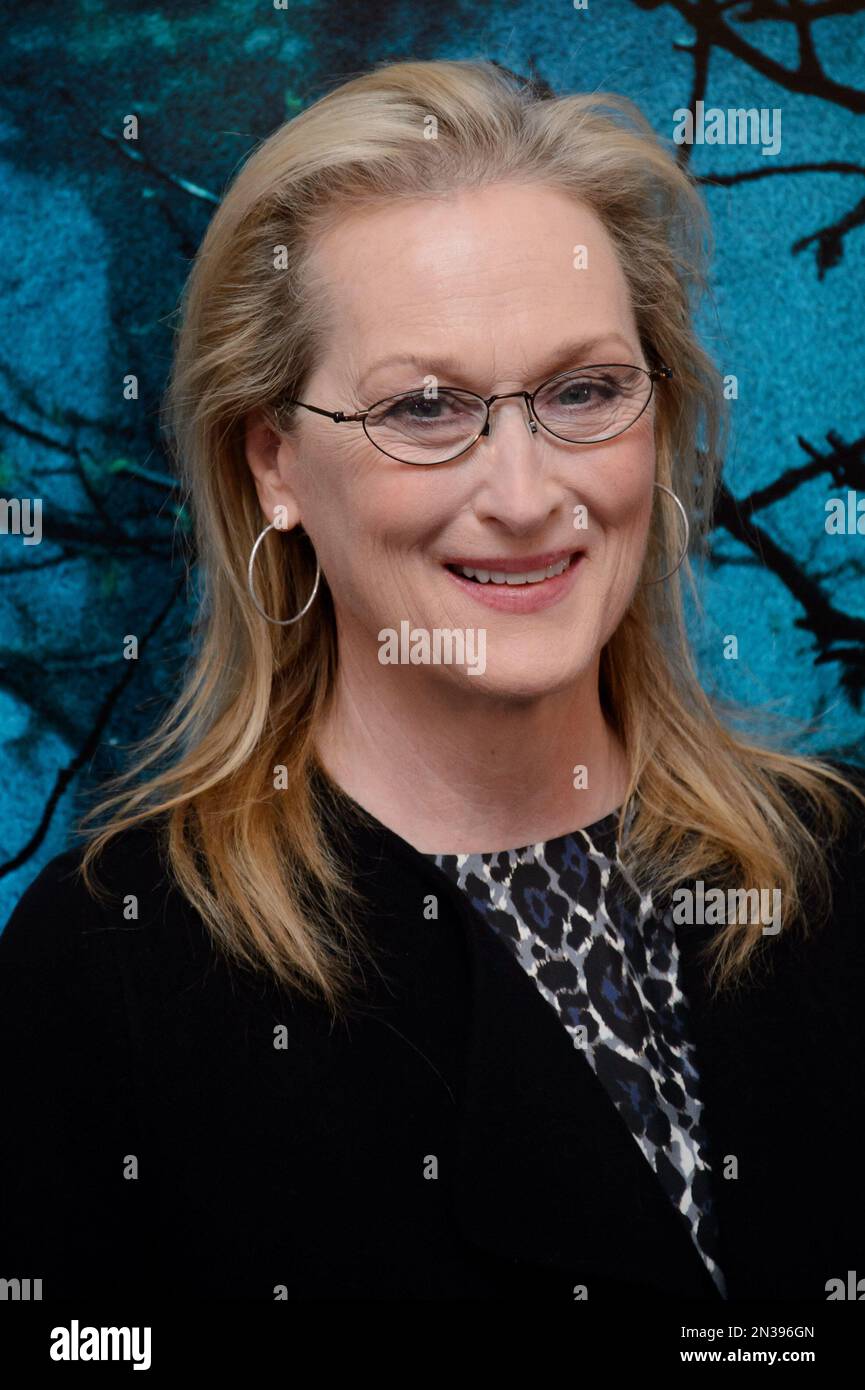 U.S actress Meryl Streep poses for photographers at a photo call for ...
