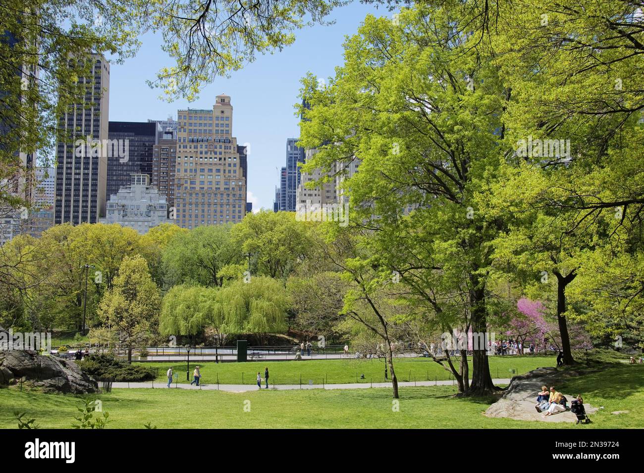 Central Park in Spring, NYC, New York, USA Stock Photo - Alamy