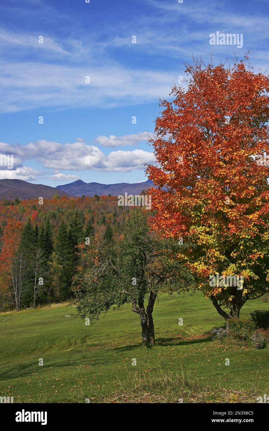 Autumn Scenic, Stowe, Vermont, USA Stock Photo - Alamy