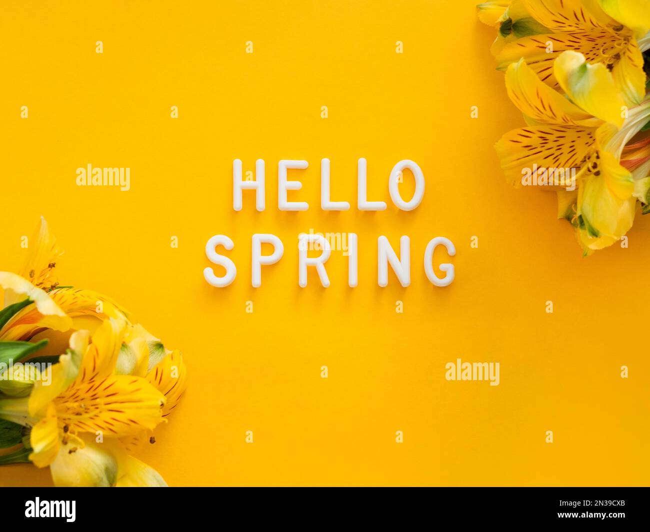 Text HELLO SPRING on bright yellow background with border of fresh ...