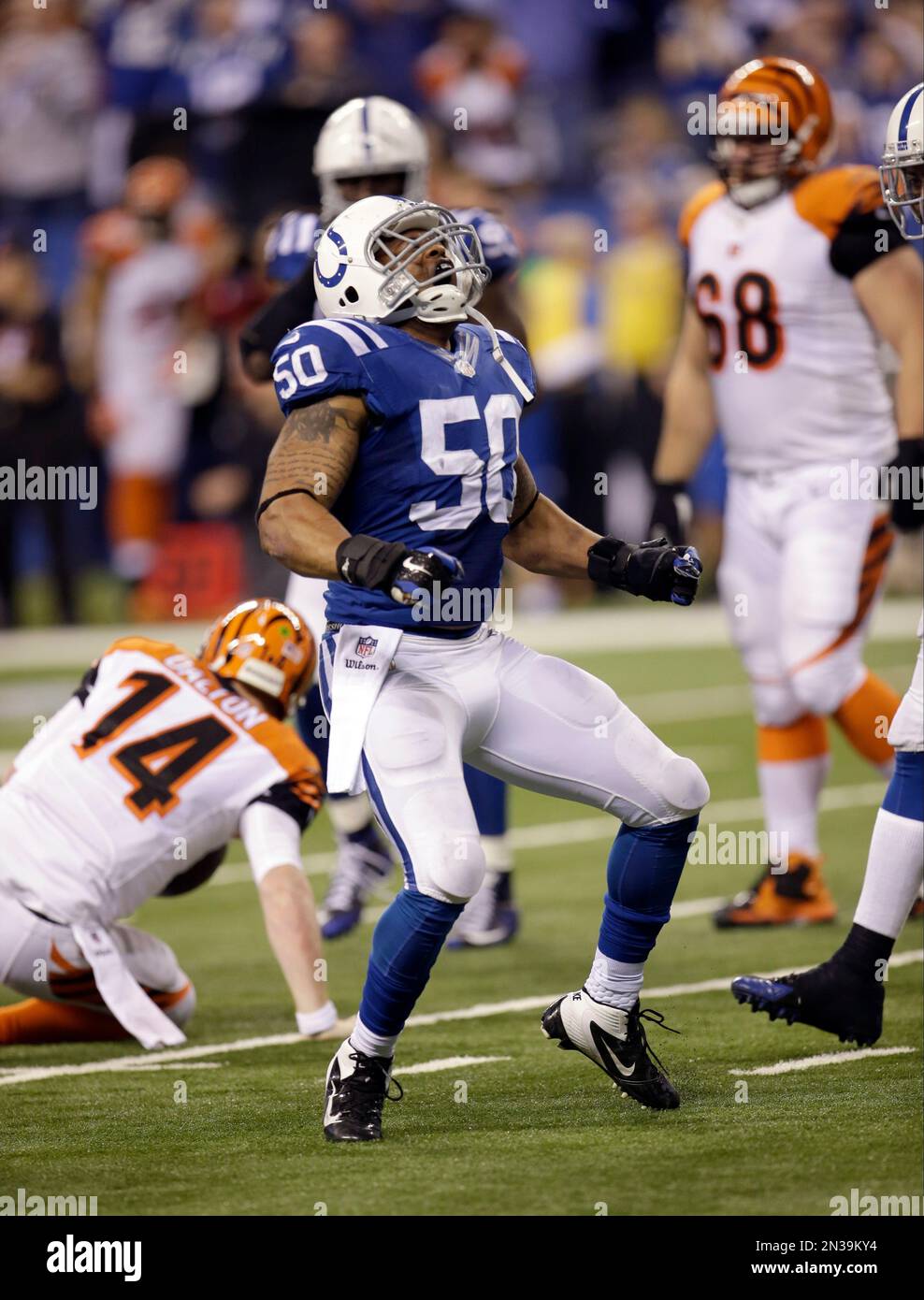Indianapolis Colts linebacker Jerrell Freeman celebrates during the ...