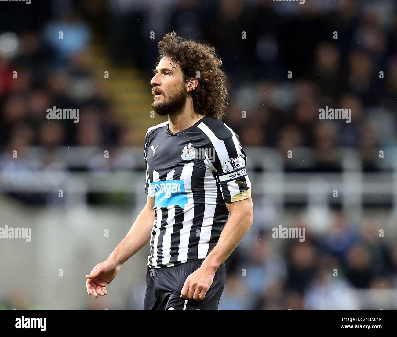 Newcastle United's captain Fabricio Coloccini during their English ...
