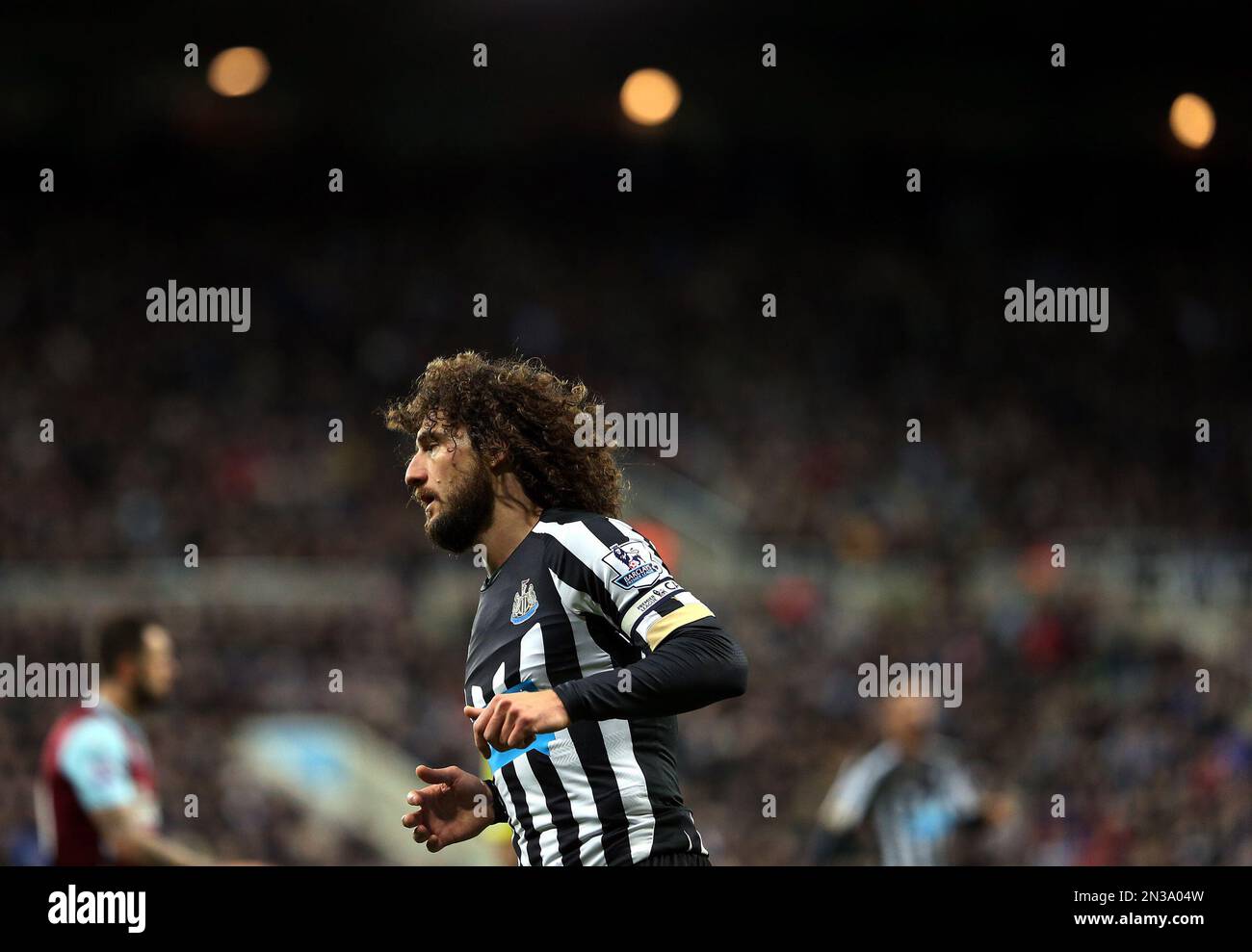 Newcastle United's captain Fabricio Coloccini during their English ...