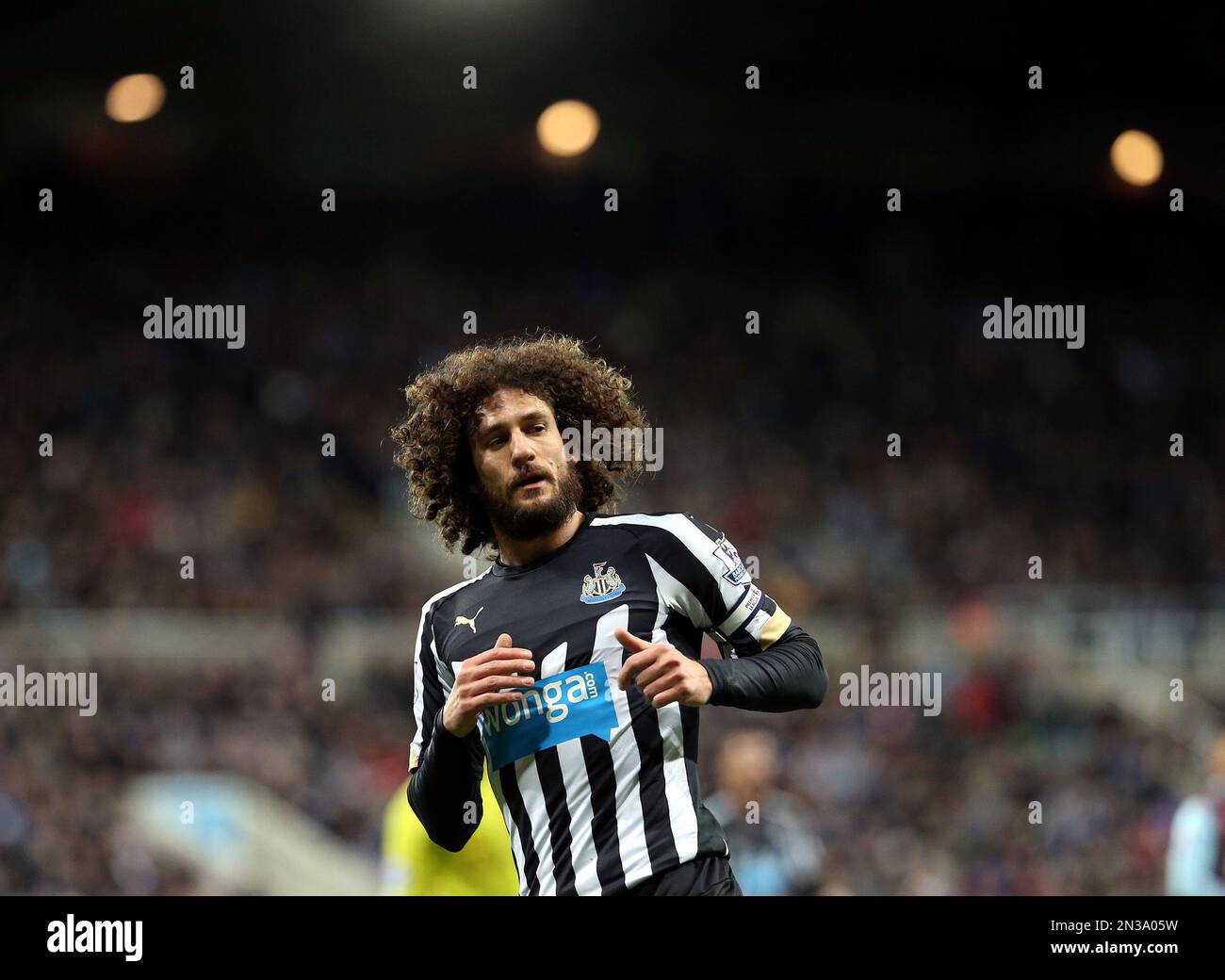 Newcastle United's captain Fabricio Coloccini during their English ...