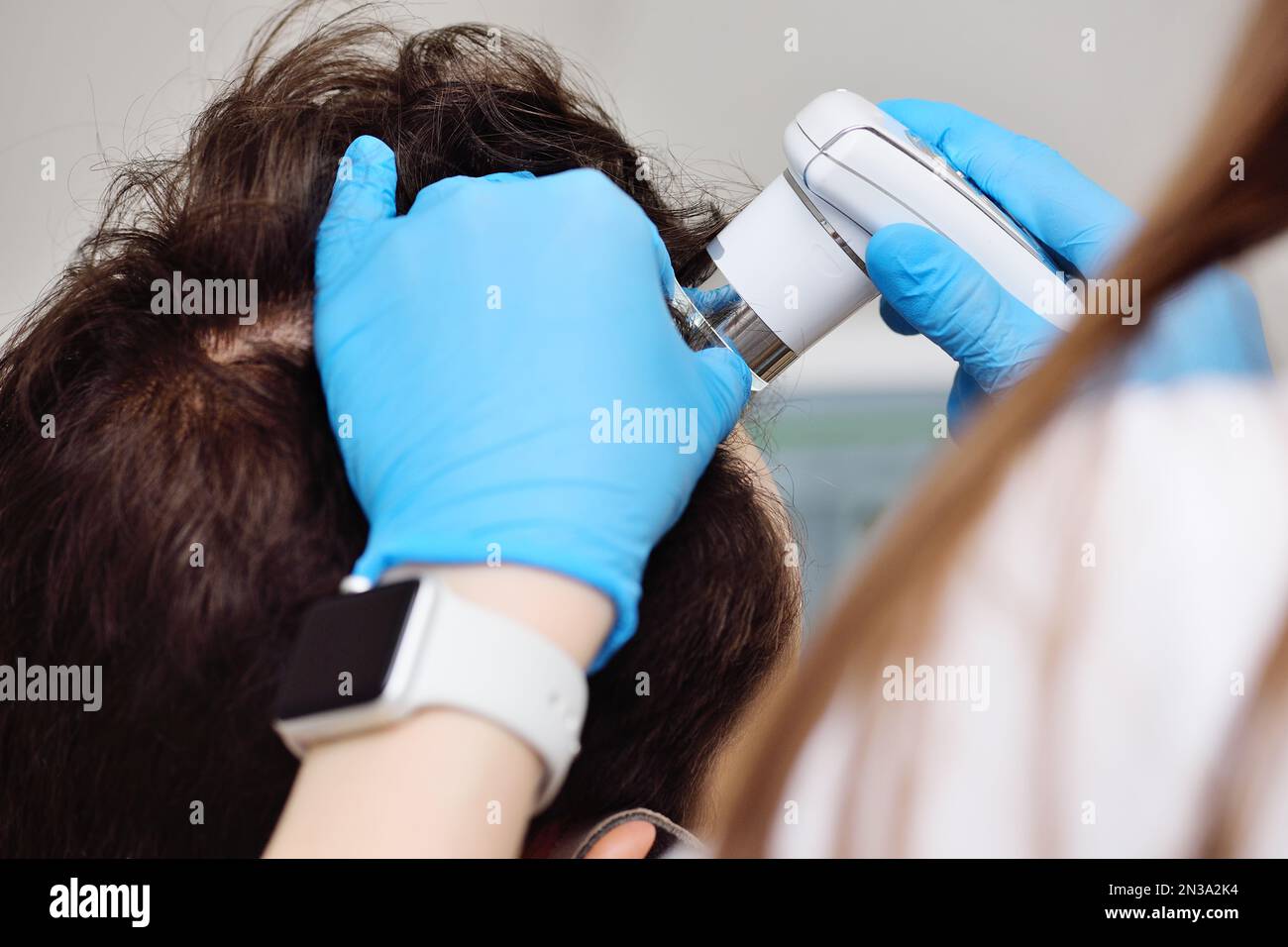 Close-up cosmetologist trichologist diagnoses the condition of the hair ...