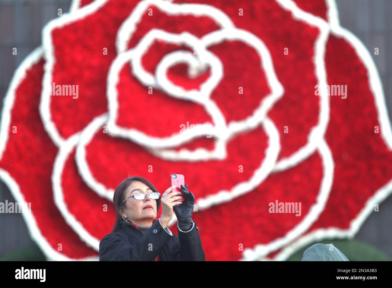 A Rose Parade spectator takes pictures while waiting the start of the ...