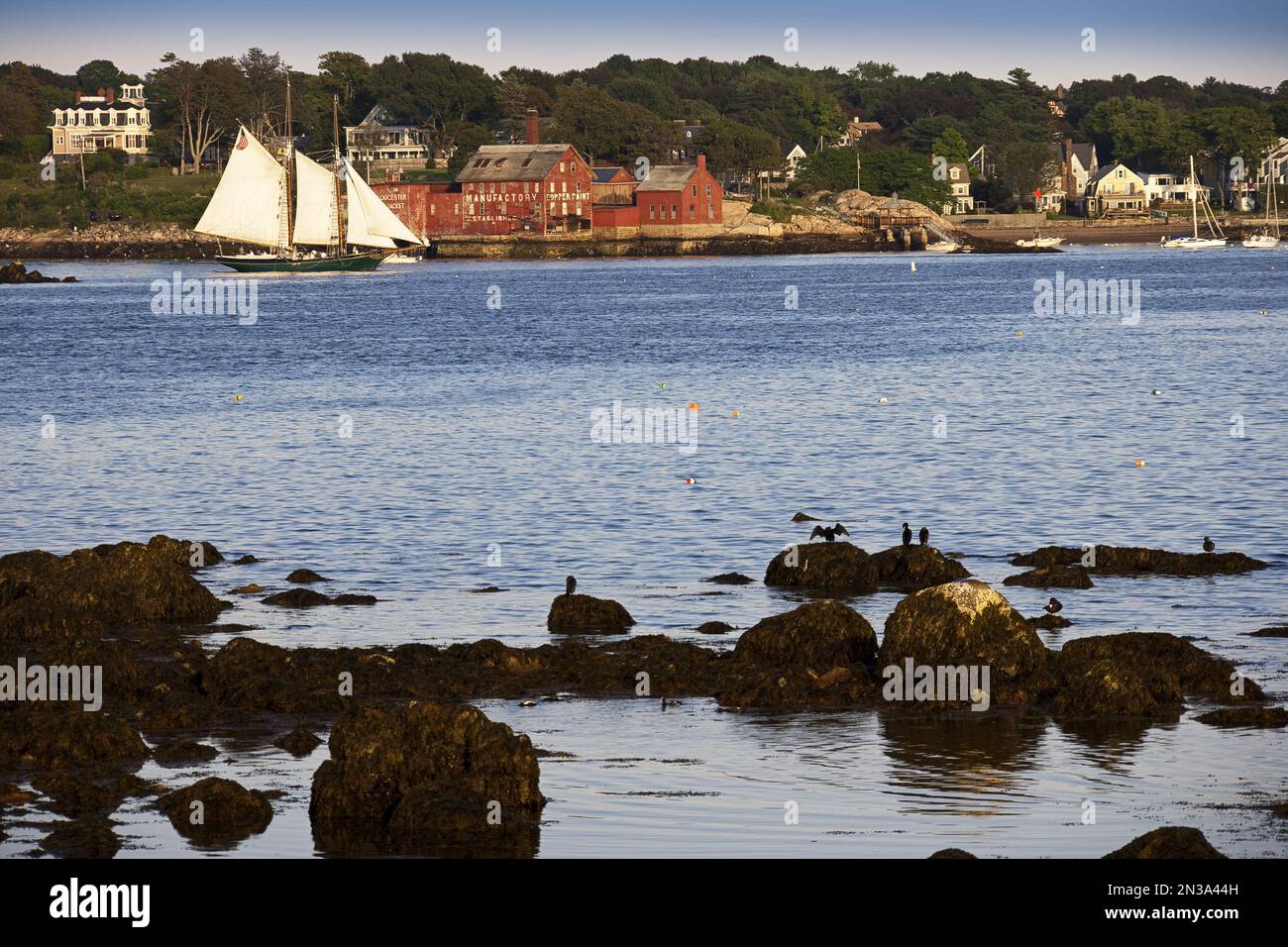Gloucester massachusetts black hi-res stock photography and images - Alamy
