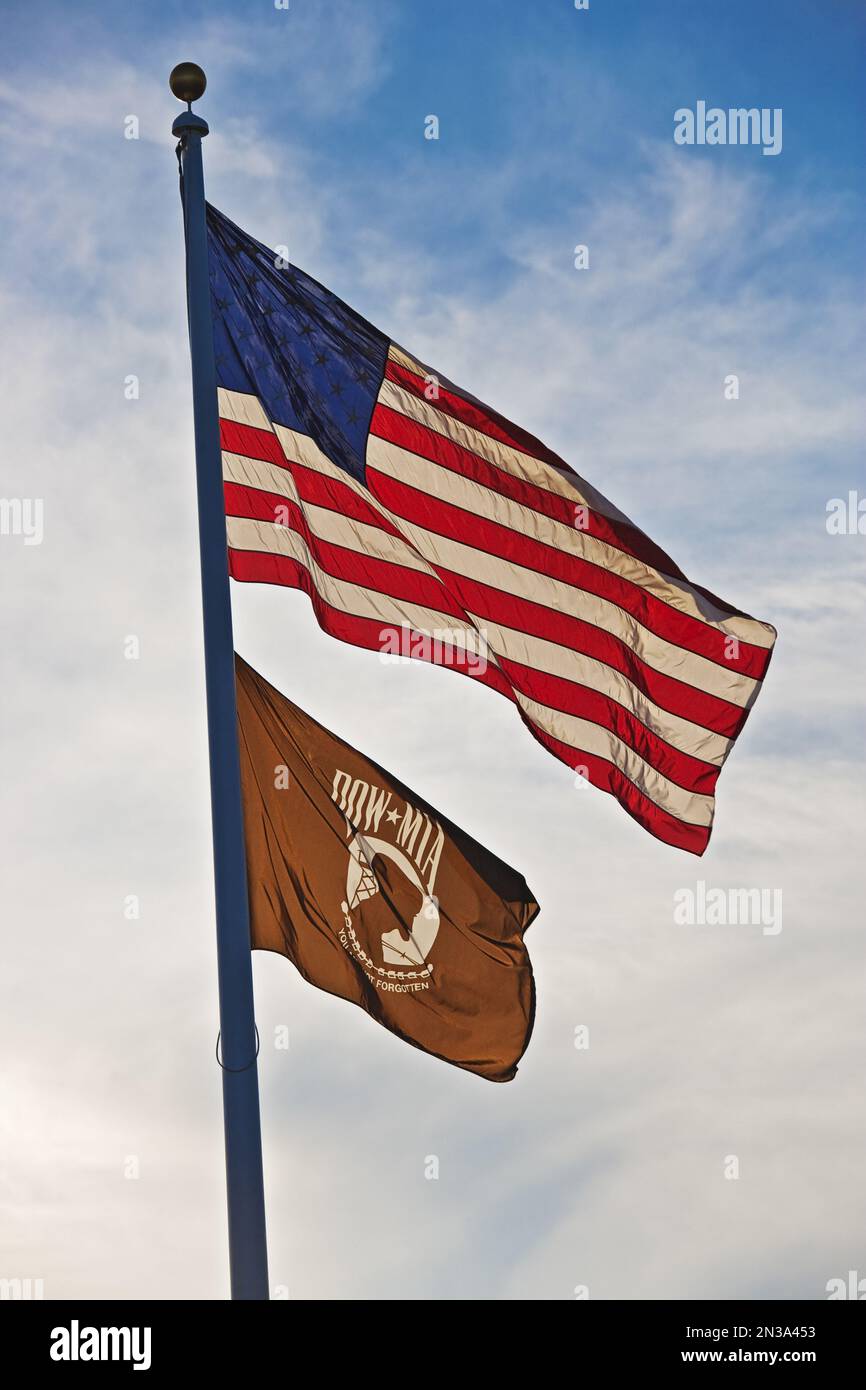 Mia americana hi-res stock photography and images - Alamy