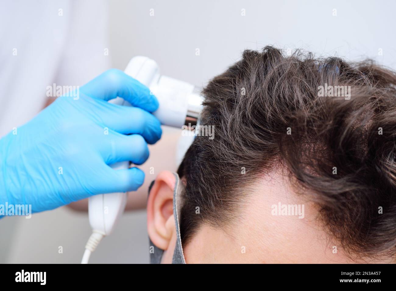 Close-up cosmetologist trichologist diagnoses the condition of the hair ...