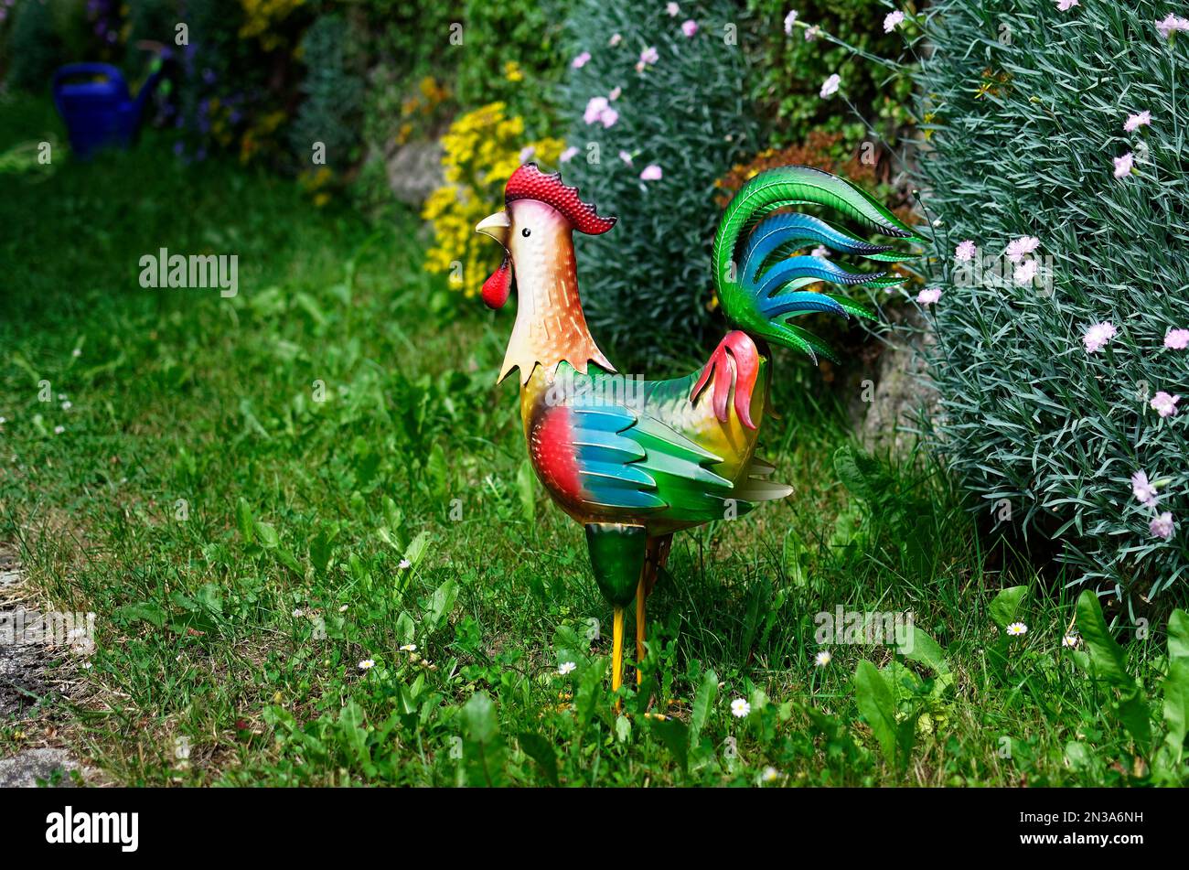 Metal colorful rooster in garden Stock Photo - Alamy