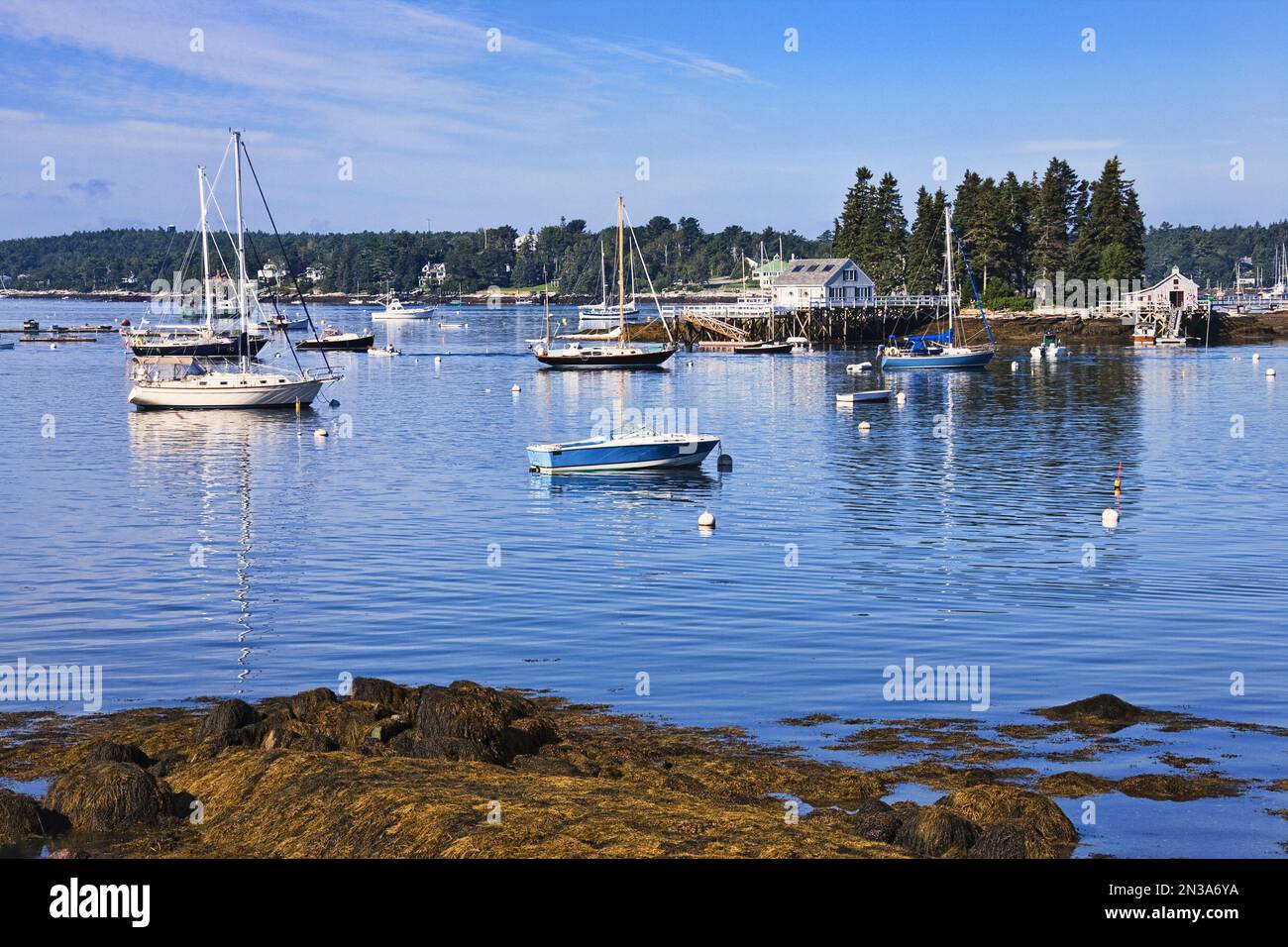 Boothbay harbor sailing hi-res stock photography and images - Alamy