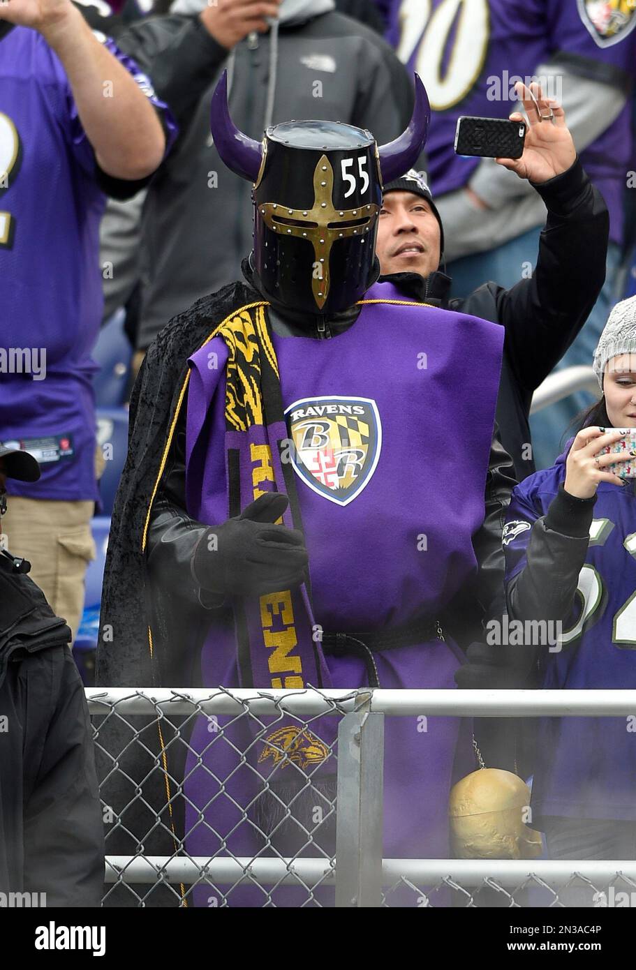 A Baltimore Ravens fan wears a costume in the stands during an NFL ...