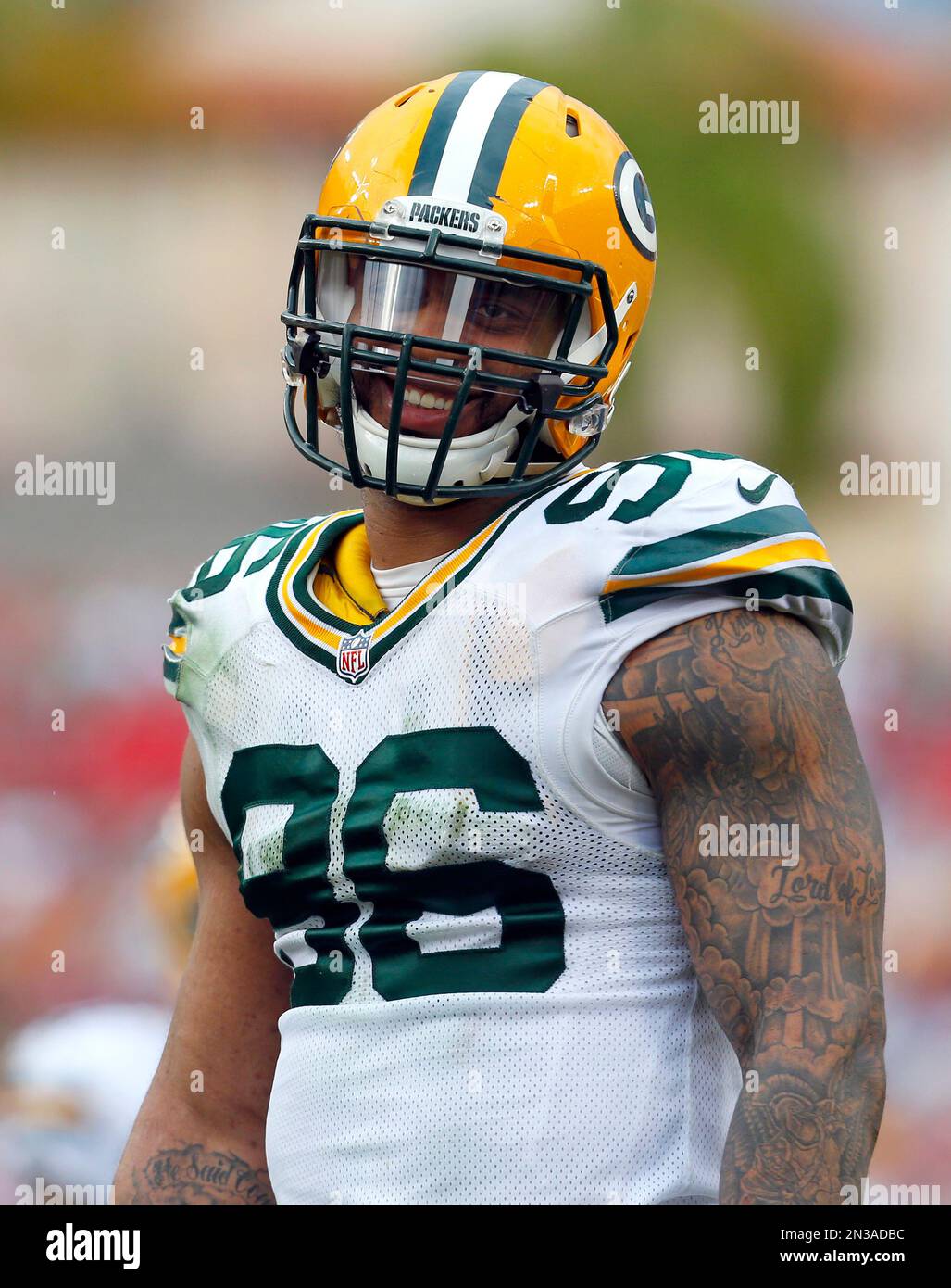 Green Bay Packers defensive end Mike Neal (96) looks toward the bench ...