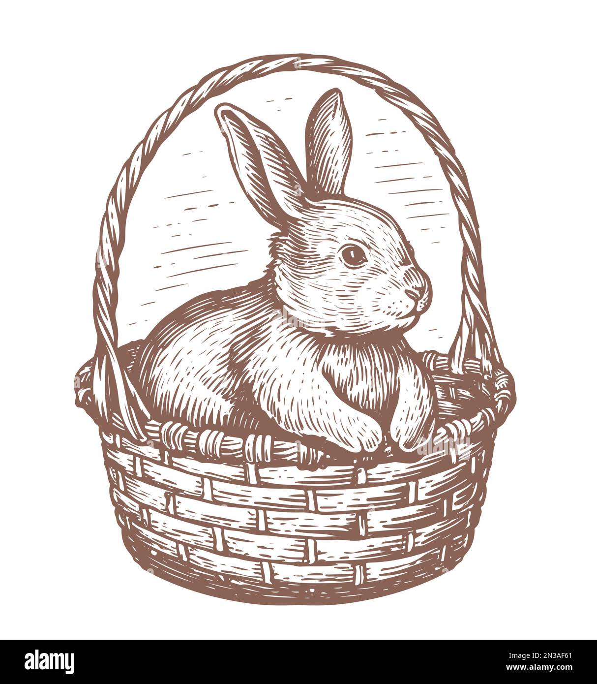 Easter bunny rabbit in basket. Hand drawn cute hare in sketch style ...